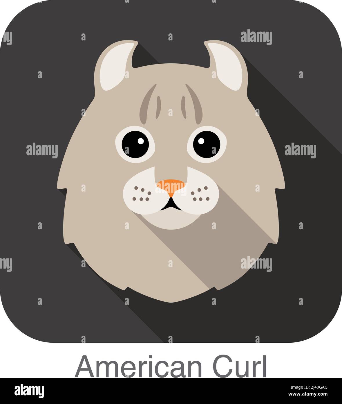 American cat wildlife Stock Vector Images - Alamy