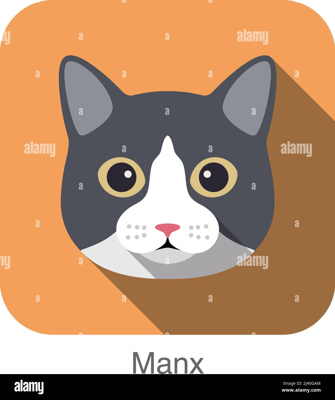 Manx Cat, Cat breed face cartoon flat icon design Stock Vector Image ...