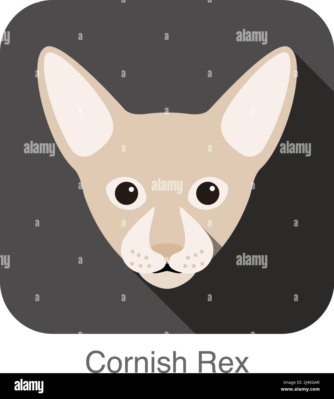 Cornish vector Stock Vector Images - Alamy