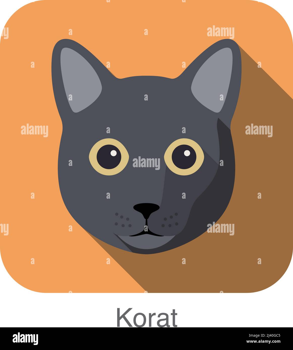 Portrait of korat domestic cat Stock Vector Images - Alamy
