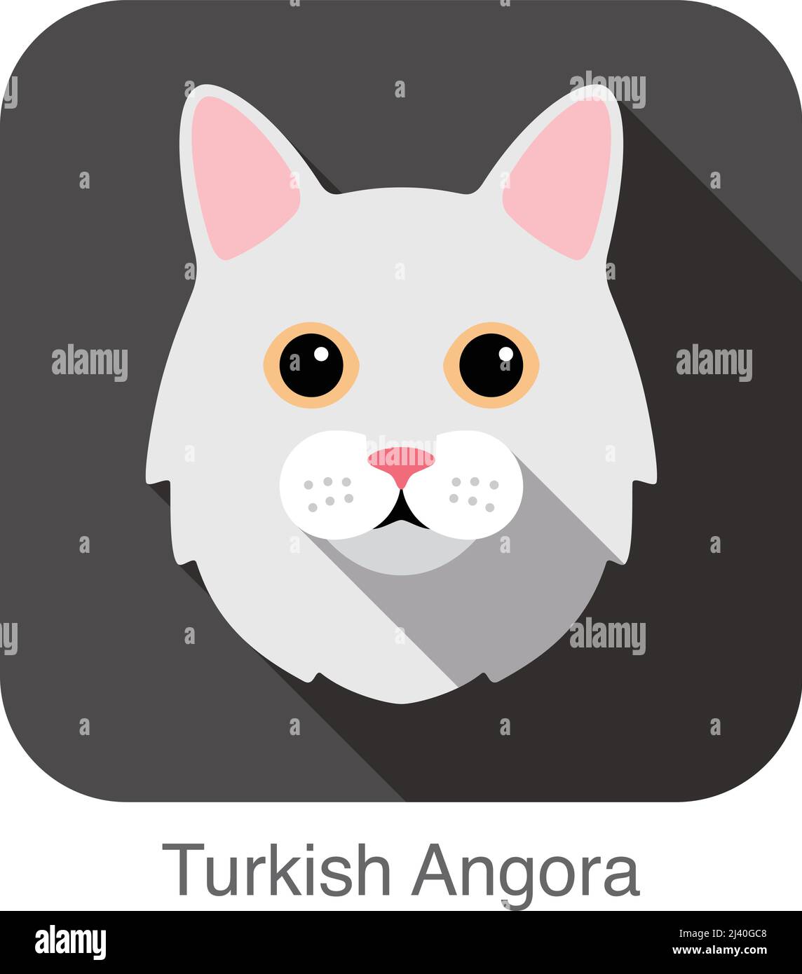 Turkish Angora Cat, Cat breed face cartoon flat icon design Stock ...