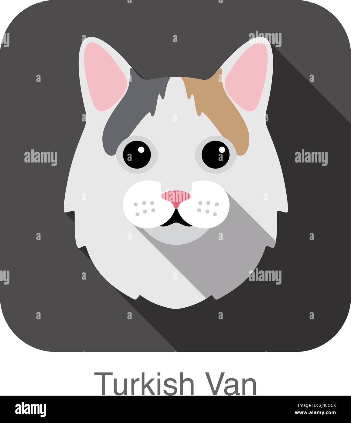 Turkish Van Cat, Cat breed face cartoon flat icon design Stock Vector ...