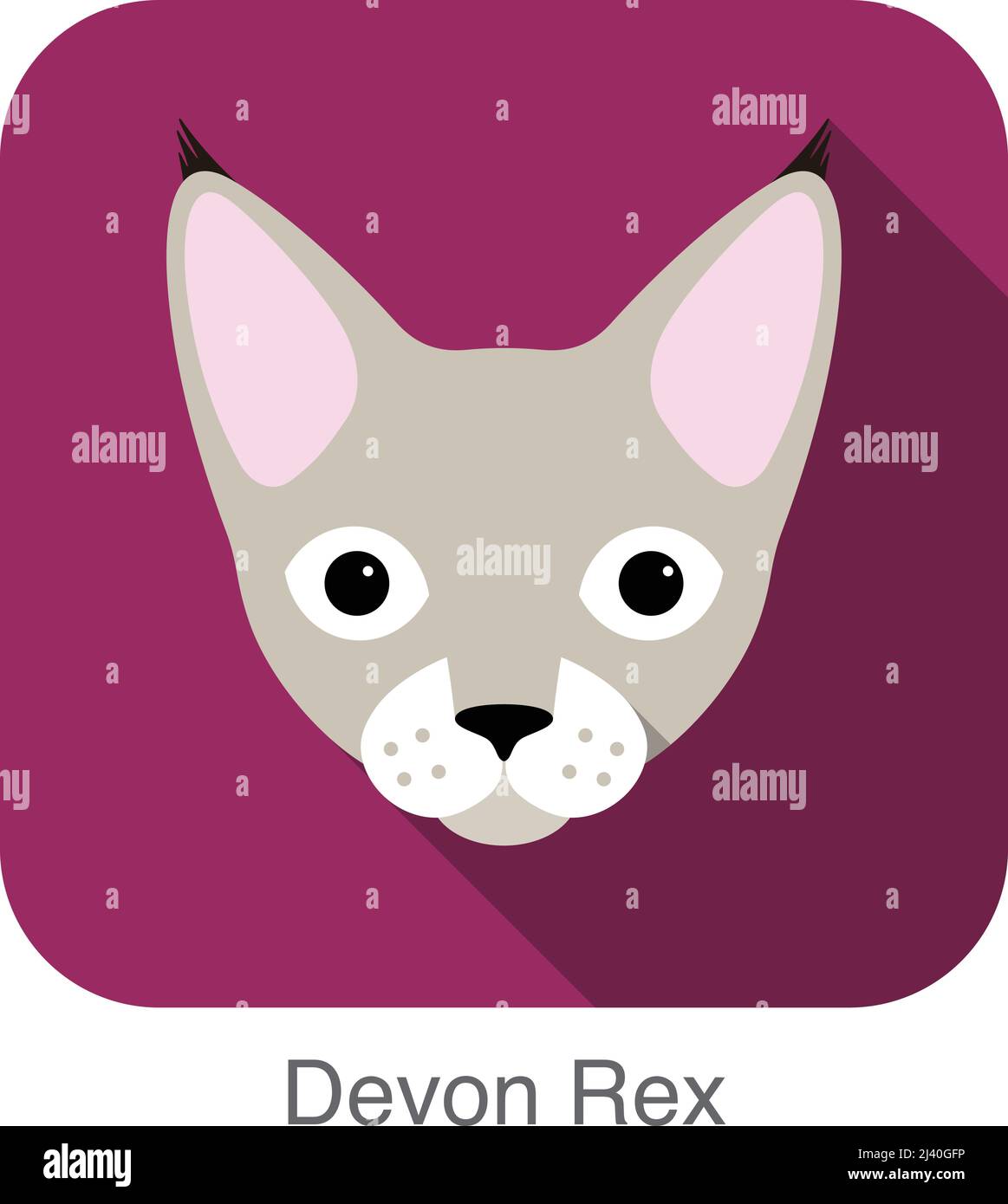 Devon Rex, Cat breed face cartoon flat icon design Stock Vector Image ...