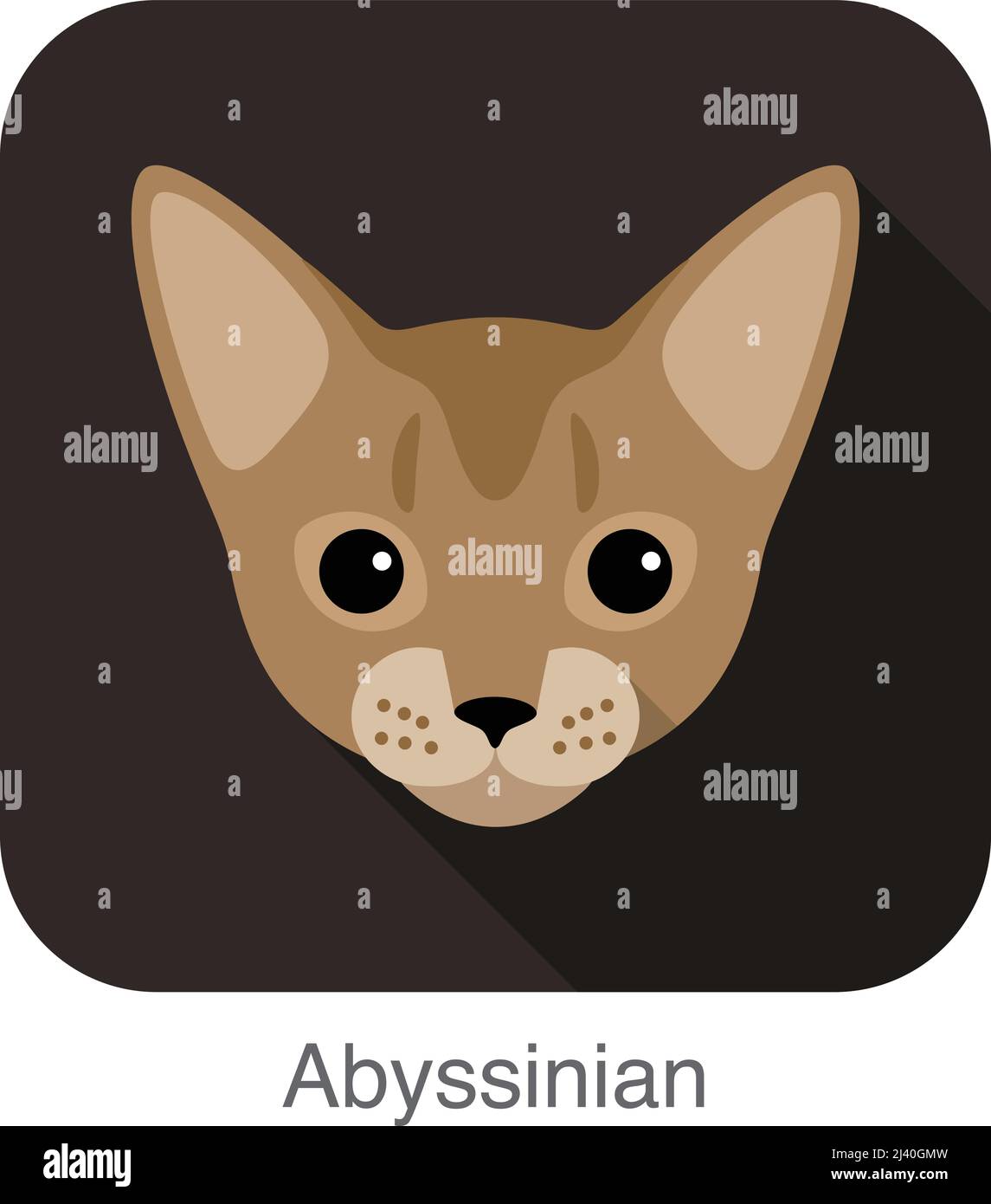 Abyssinian, Cat breed face cartoon flat icon design Stock Vector Image ...