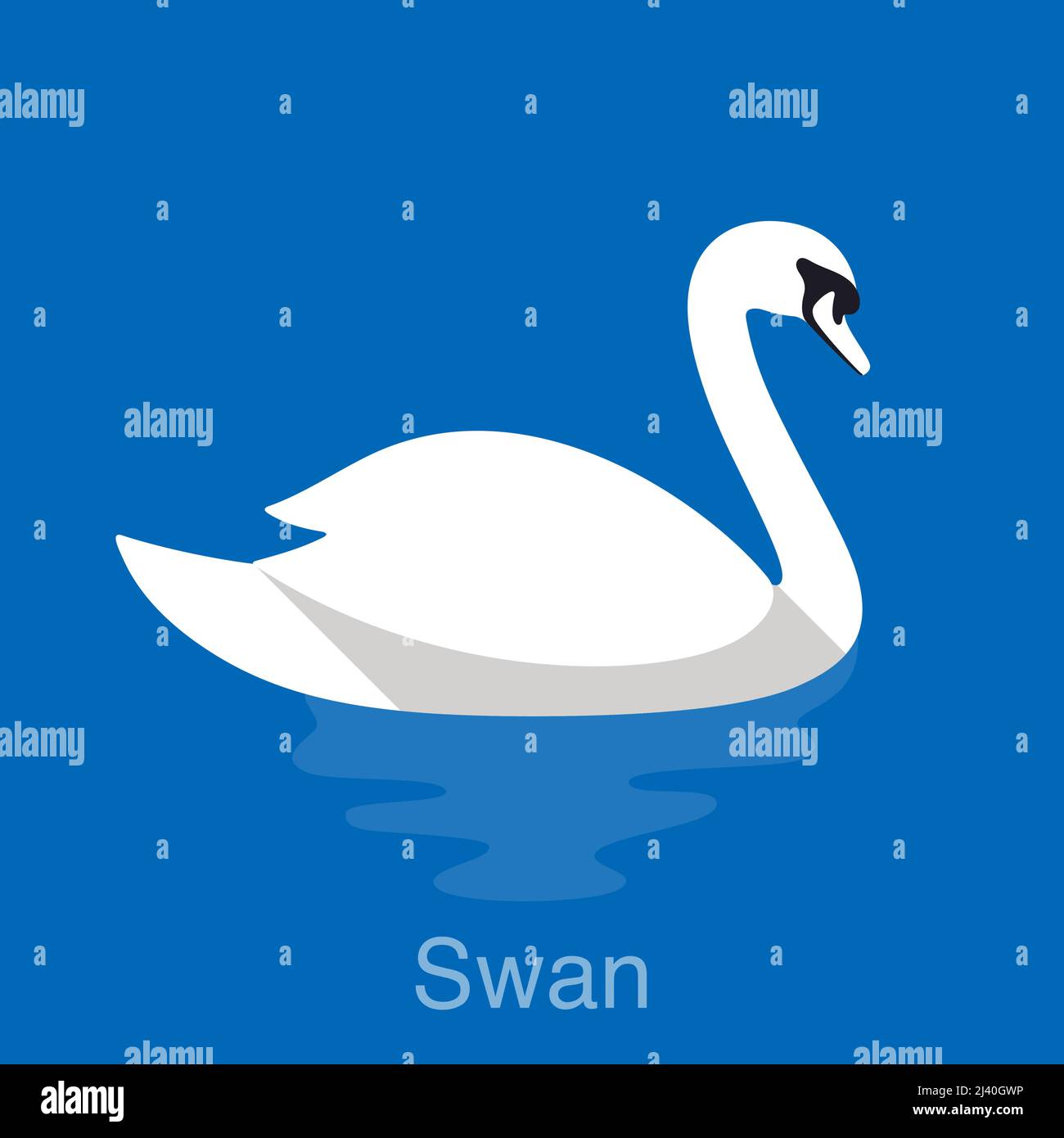 Closeup swan Stock Vector Images - Alamy