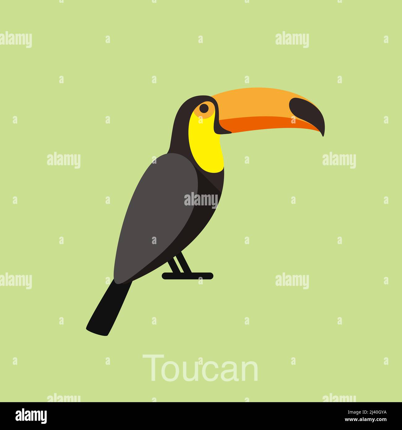 Toucan series hi-res stock photography and images - Alamy