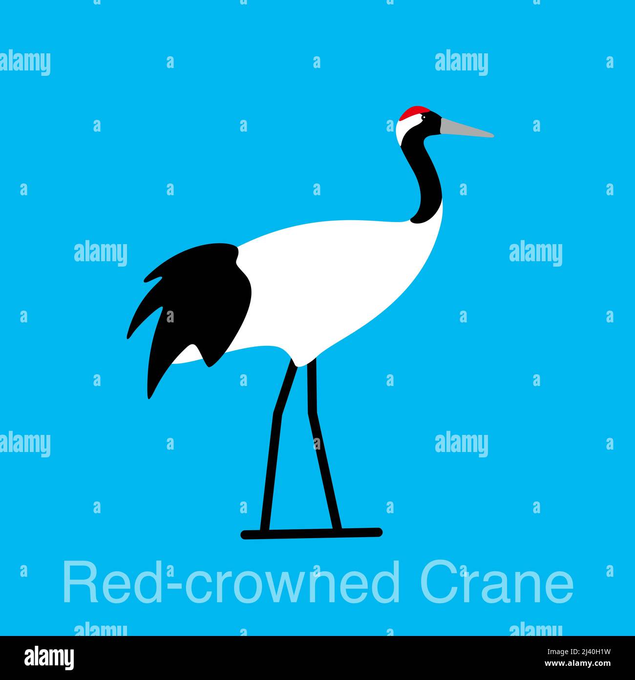 Red Crowned Crane bird series Stock Vector Image & Art - Alamy