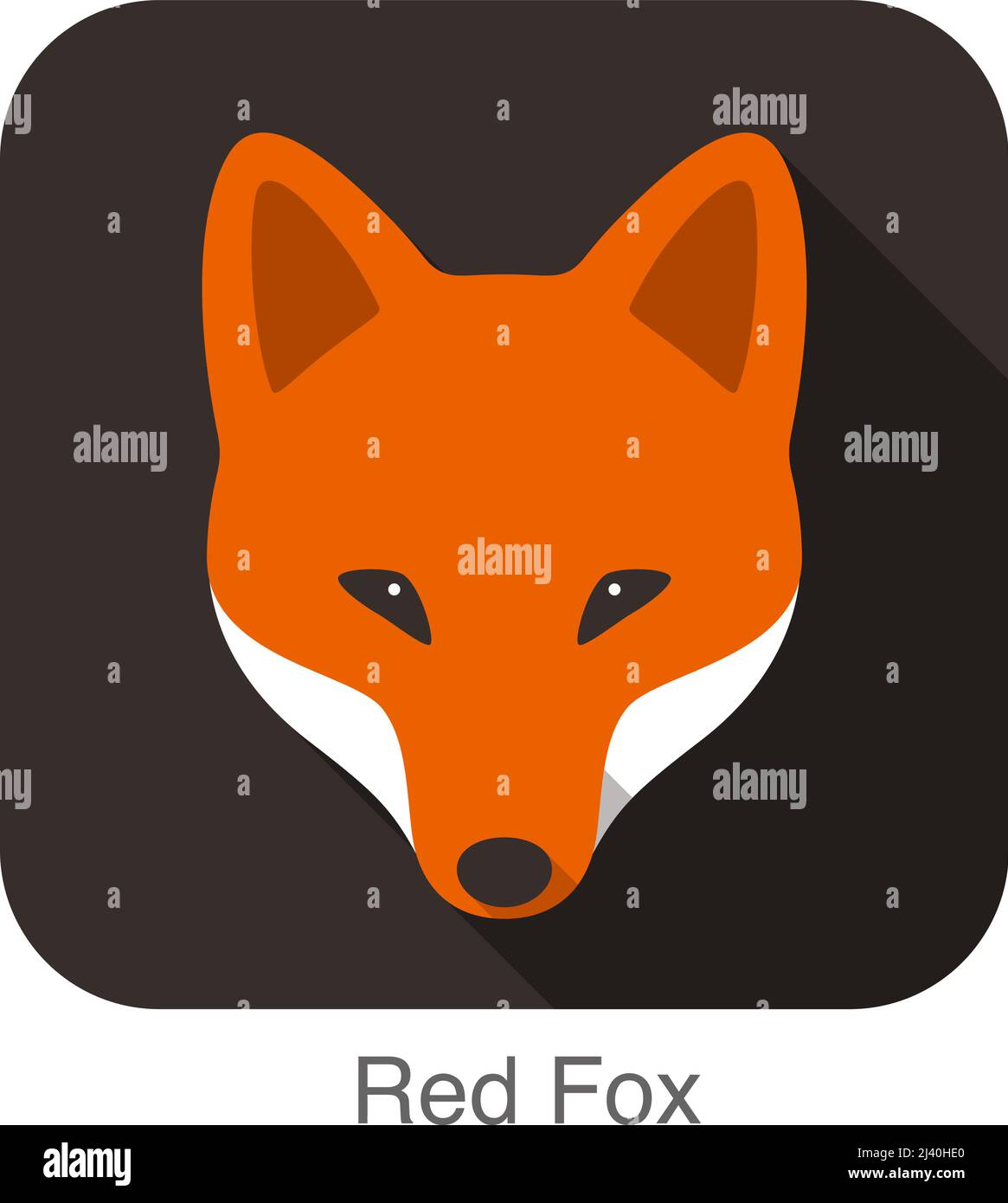 Red fox head portrait Stock Vector Images - Alamy