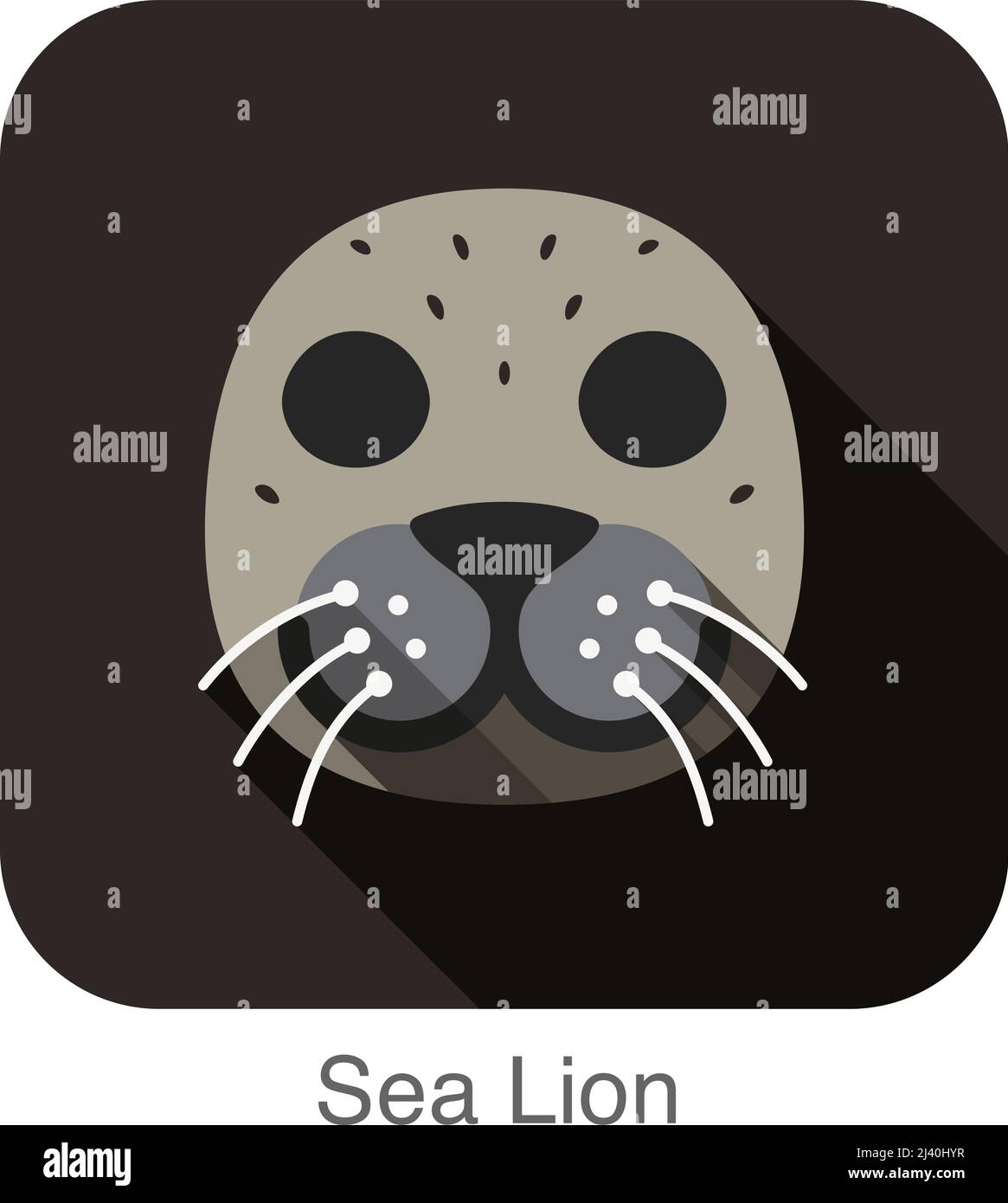 Sea lion animal face flat design Stock Vector Image & Art - Alamy