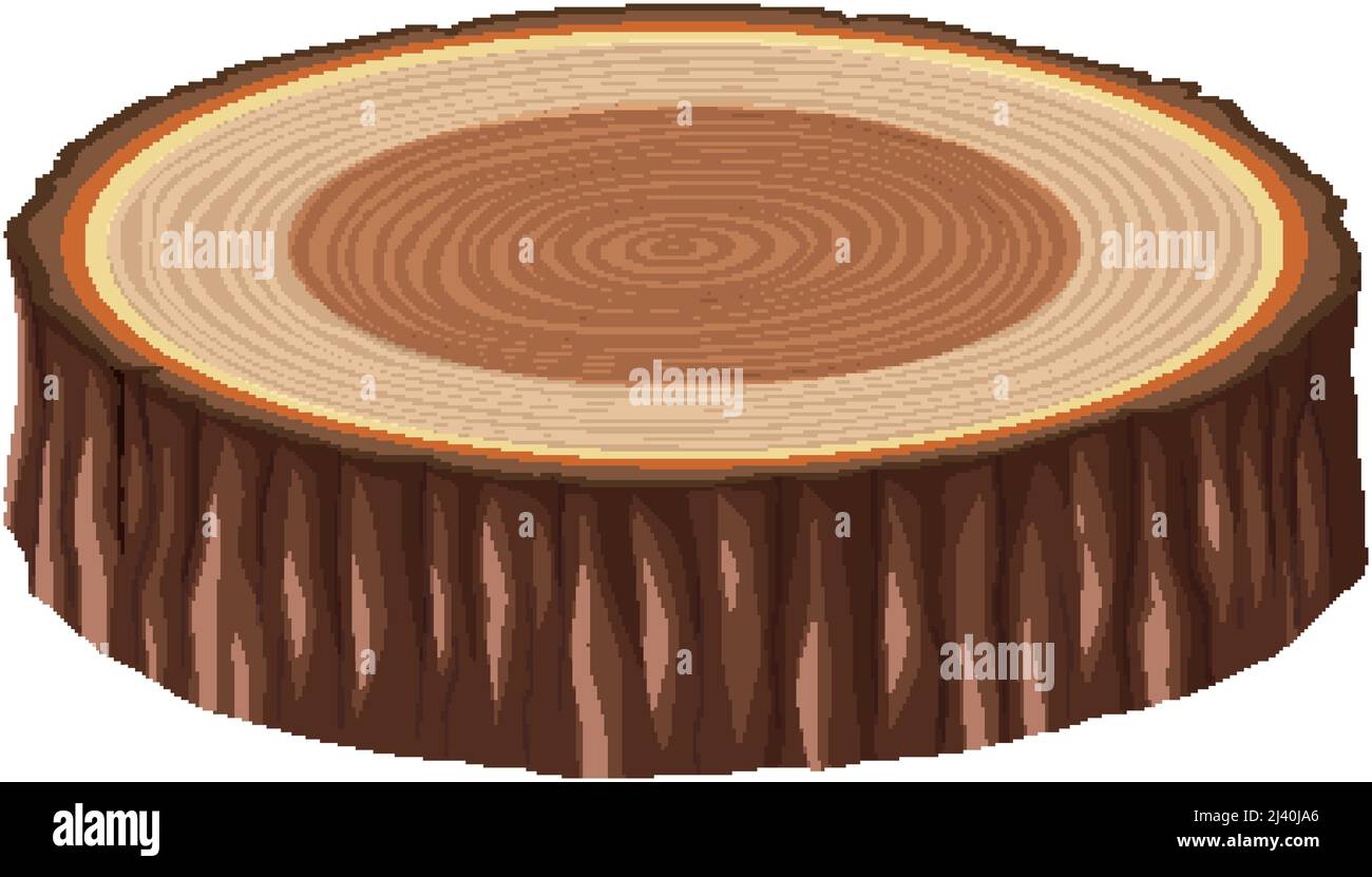Anatomy of tree trunk illustration Stock Vector Image & Art - Alamy