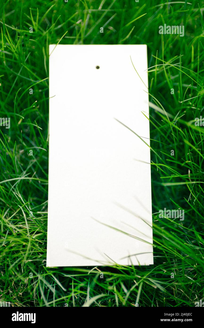 Top view of frame made of green garden grass and copy space on white ...