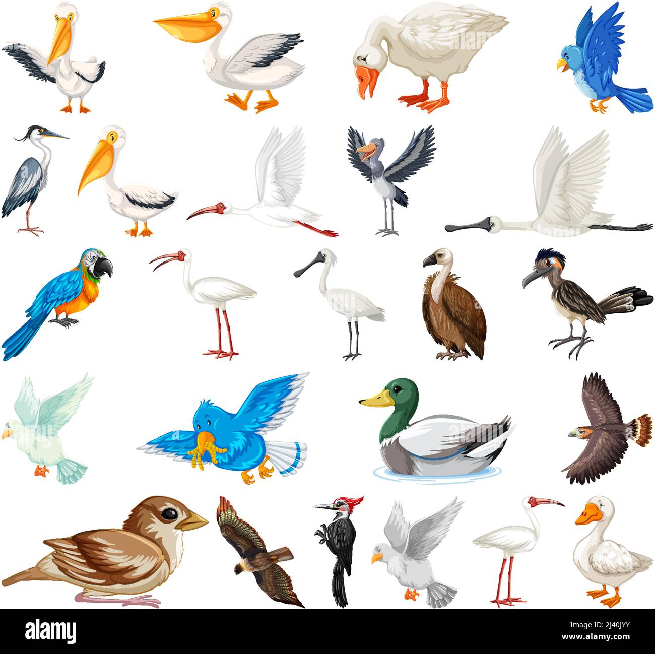 Different kinds of birds collection illustration Stock Vector Image ...