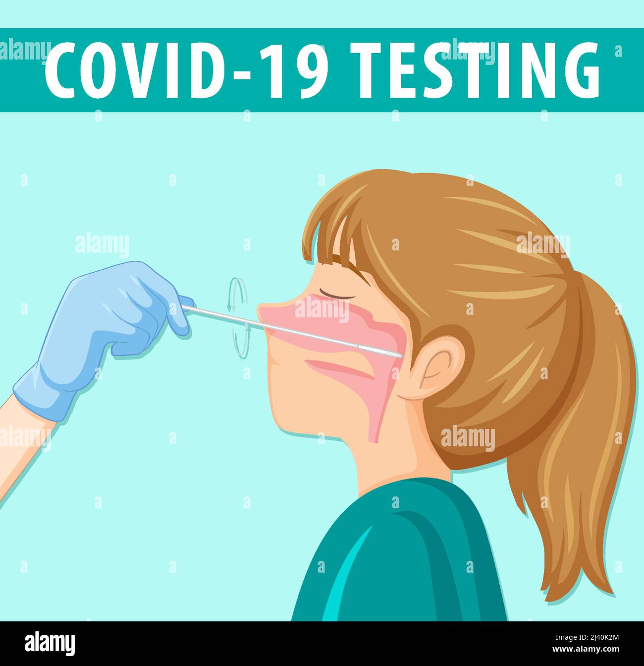 Covid 19 testing with antigen test kit illustration Stock Vector Image ...