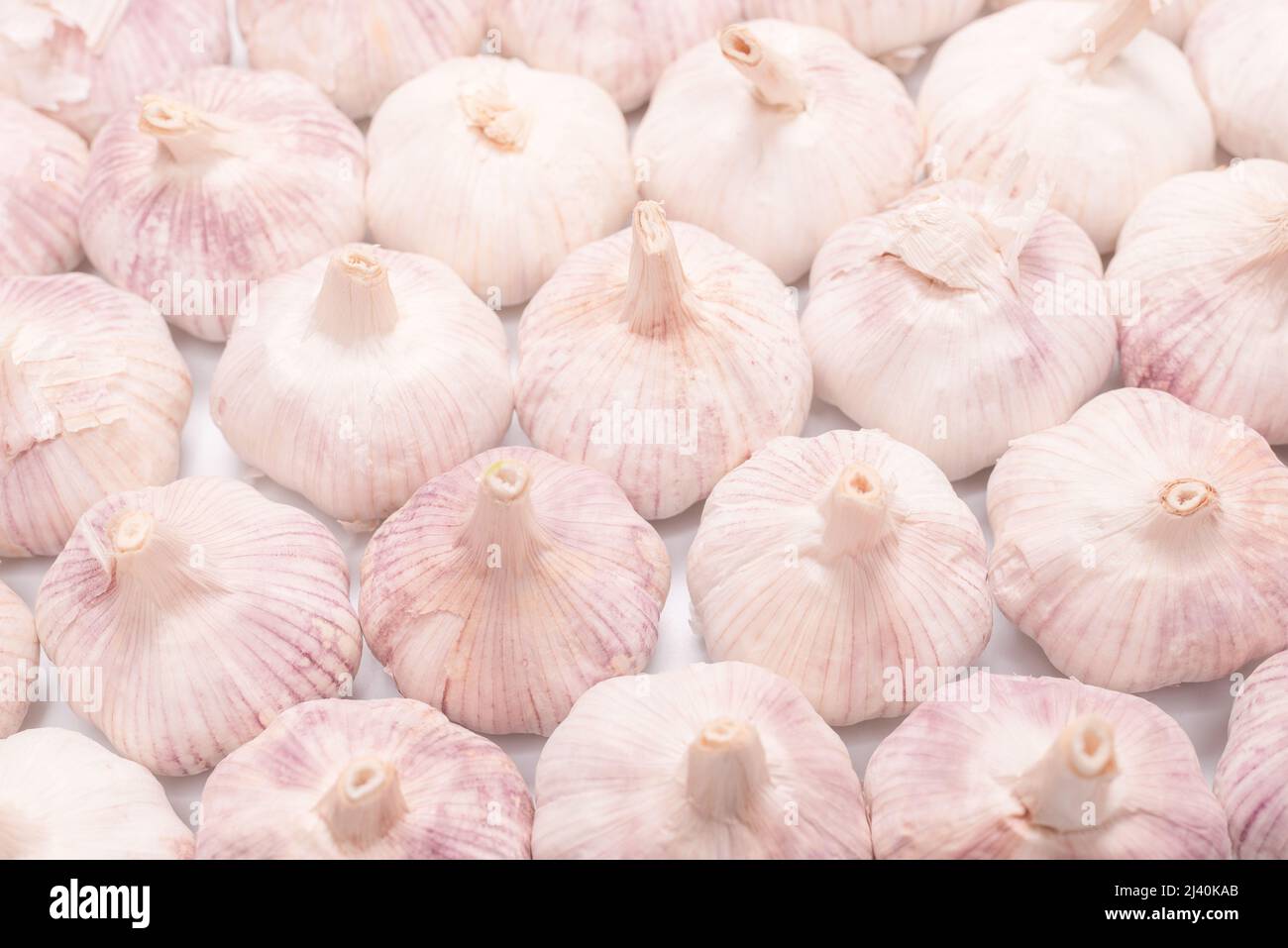 Group of garlic isolated on a white background Stock Photo - Alamy