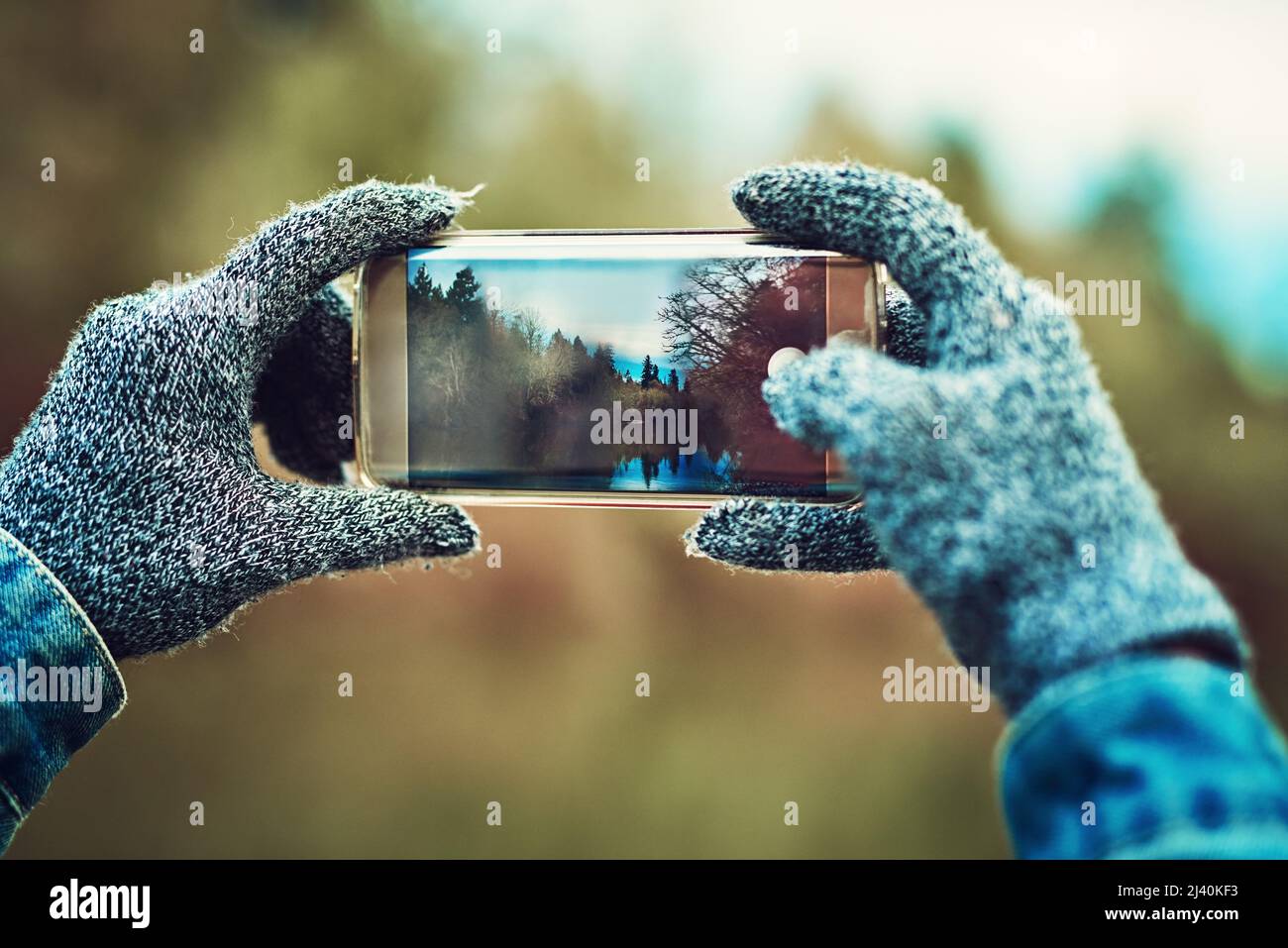 There is so much beauty in nature to capture. Cropped shot of an ...