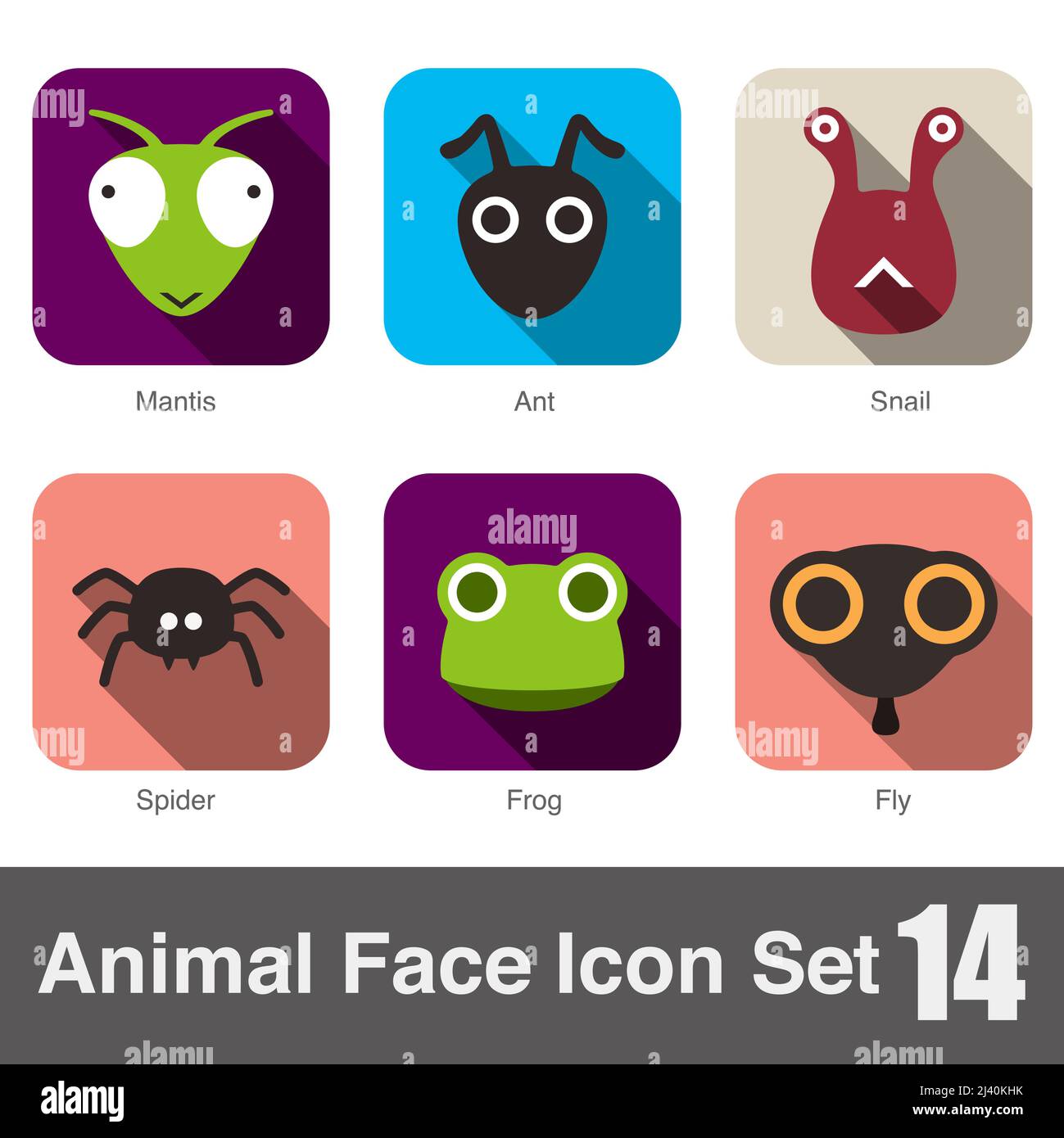 Flat head mantis hi-res stock photography and images - Alamy