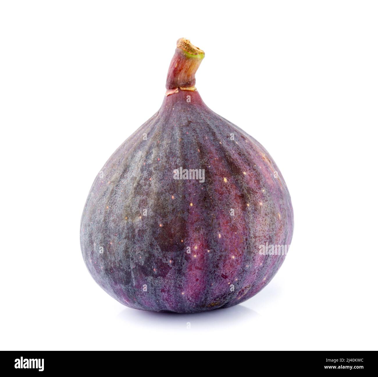 Single ripe fig isolated on white background with clipping path Stock ...