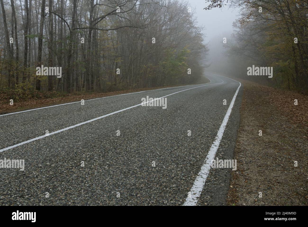 A curve of a country road with white lines of markings in an autumn ...