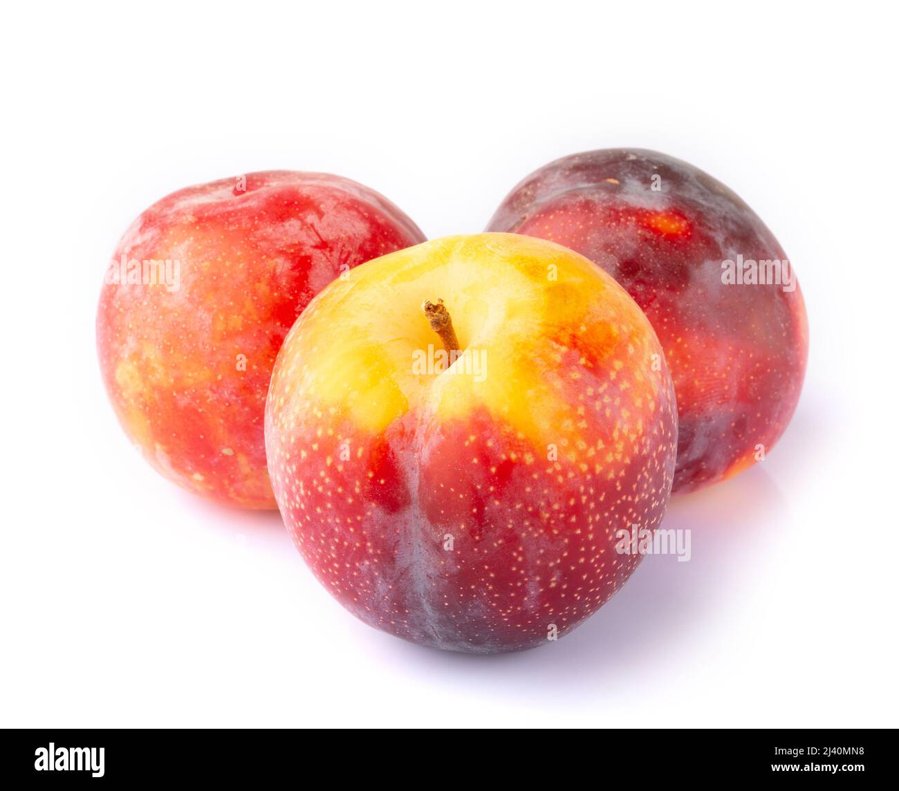 Red and white plums hi-res stock photography and images - Alamy