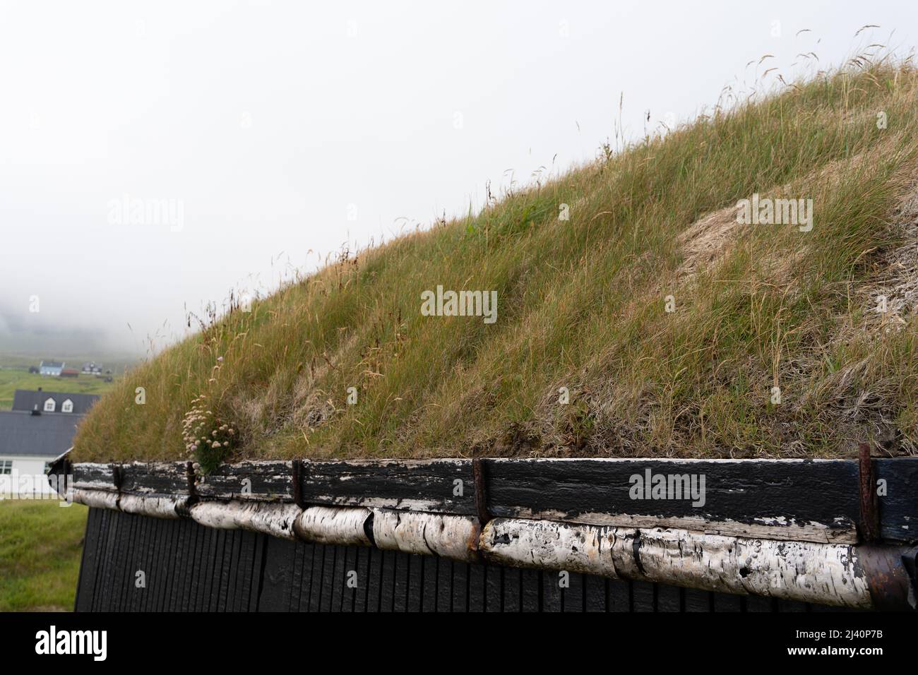 Grass roofs hi-res stock photography and images - Alamy