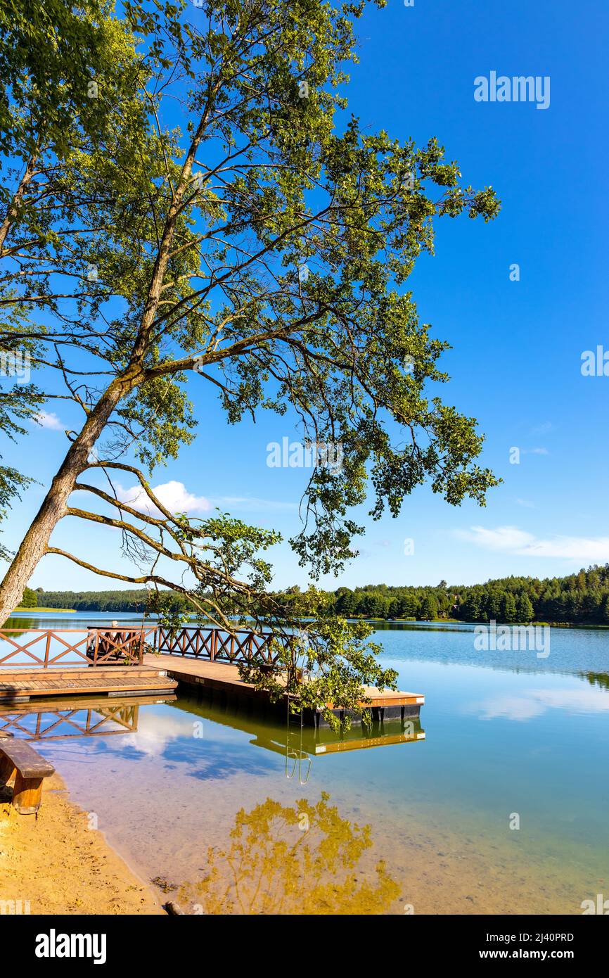 Wooded shore of Jezioro Gwiazdy lake with wooden jetty platform in ...
