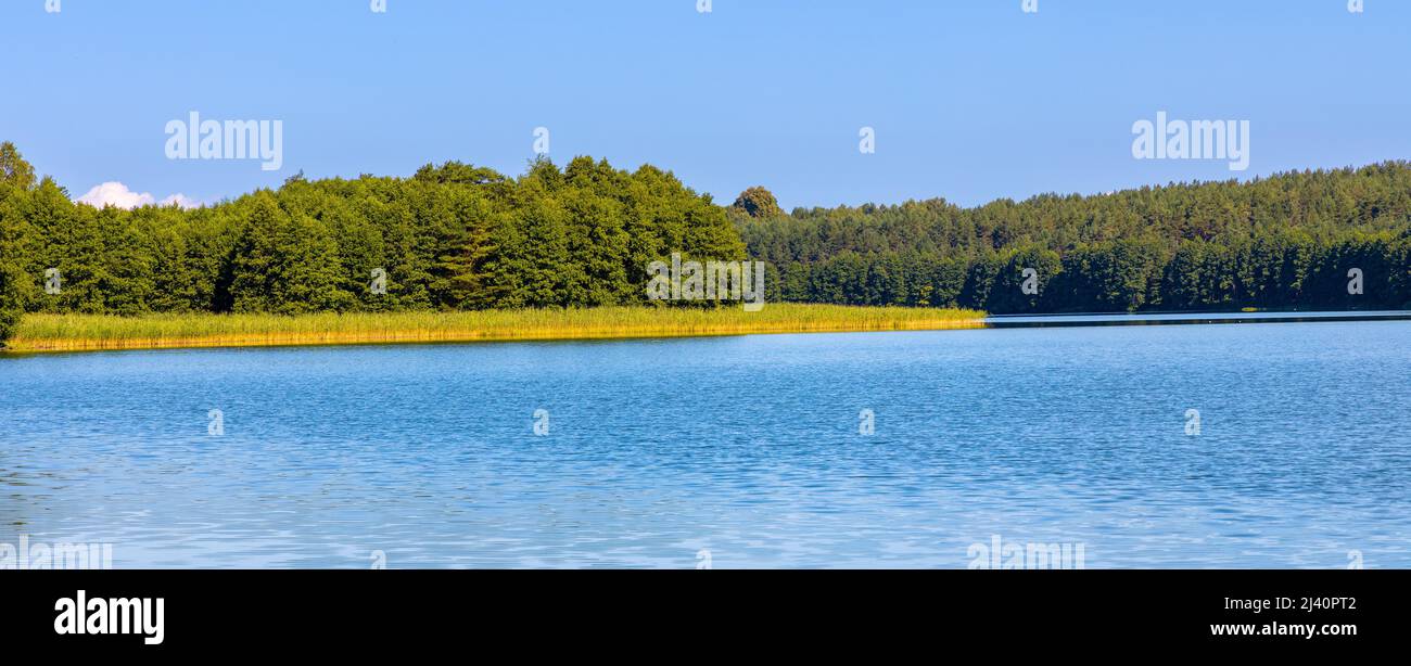 Wooded shore of Jezioro Gwiazdy lake in Bukowo Borowy Mlyn Village near ...
