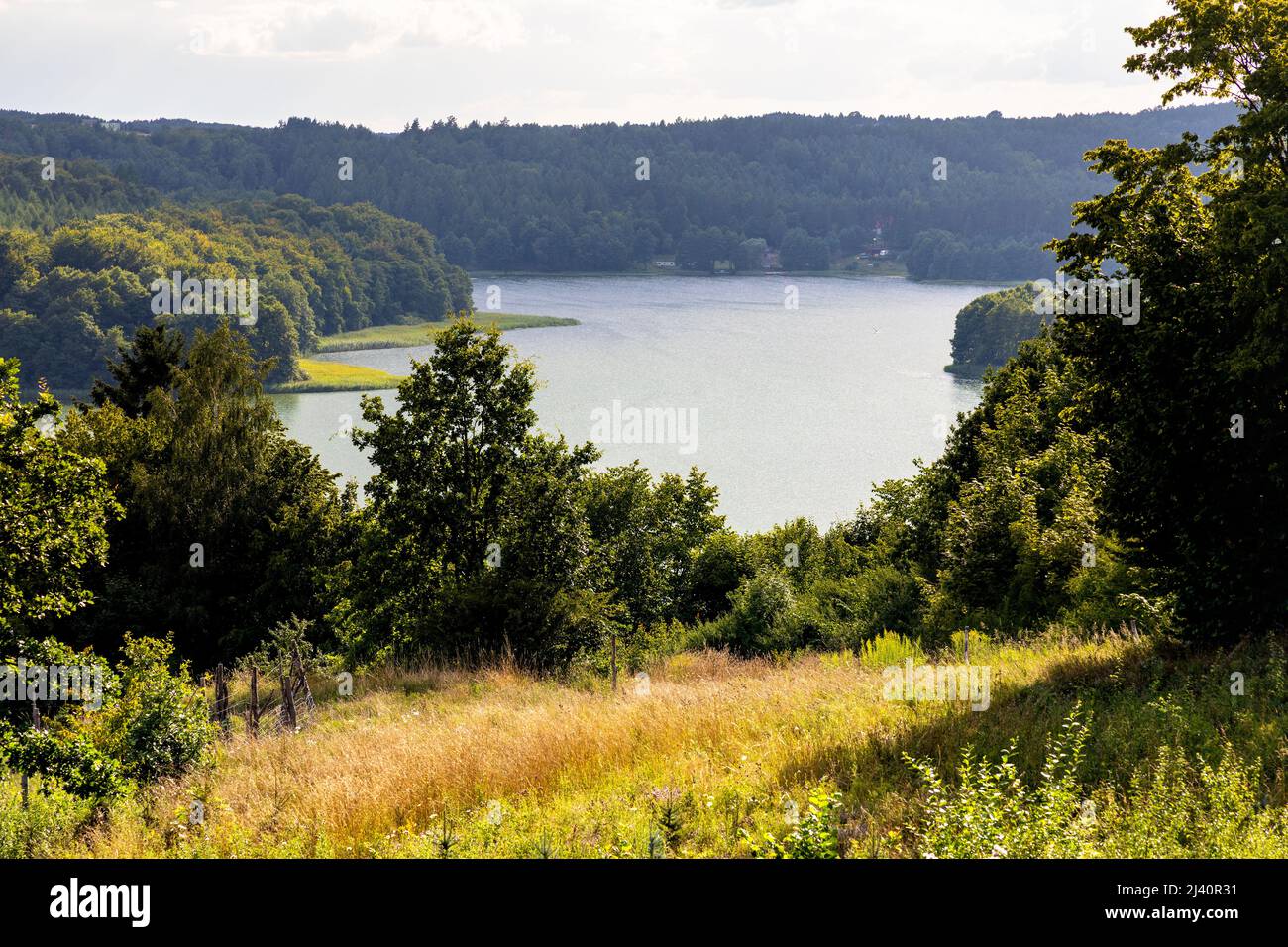 Panoramic view of Jezioro Ostrzyckie lake with shores of forest seen ...