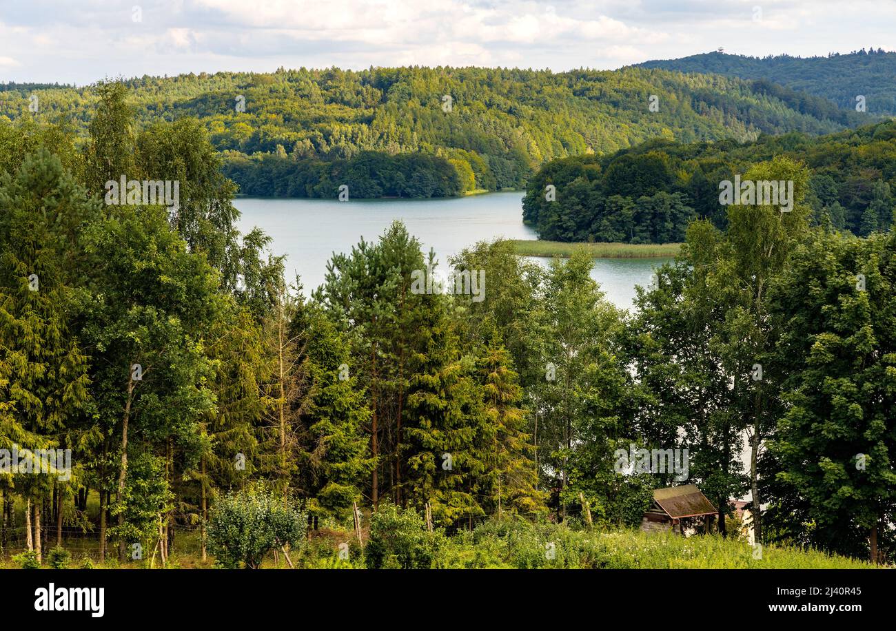 Panoramic view of Jezioro Ostrzyckie lake with shores of forest seen ...
