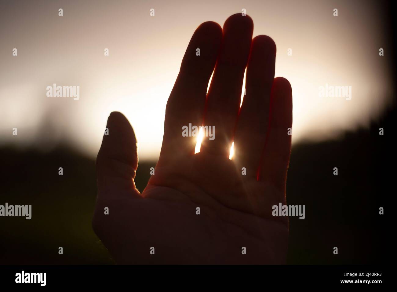 Palm against background of sun. Hand is in details. Fingers let in ...