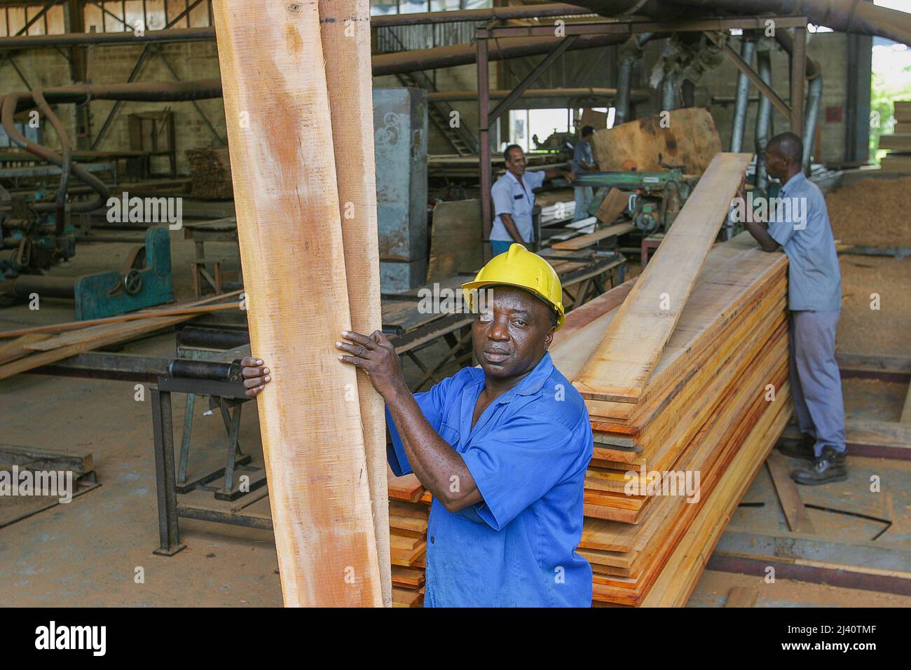Surinam, Paramaribo - Employees at the saw mill of a timber factory ...