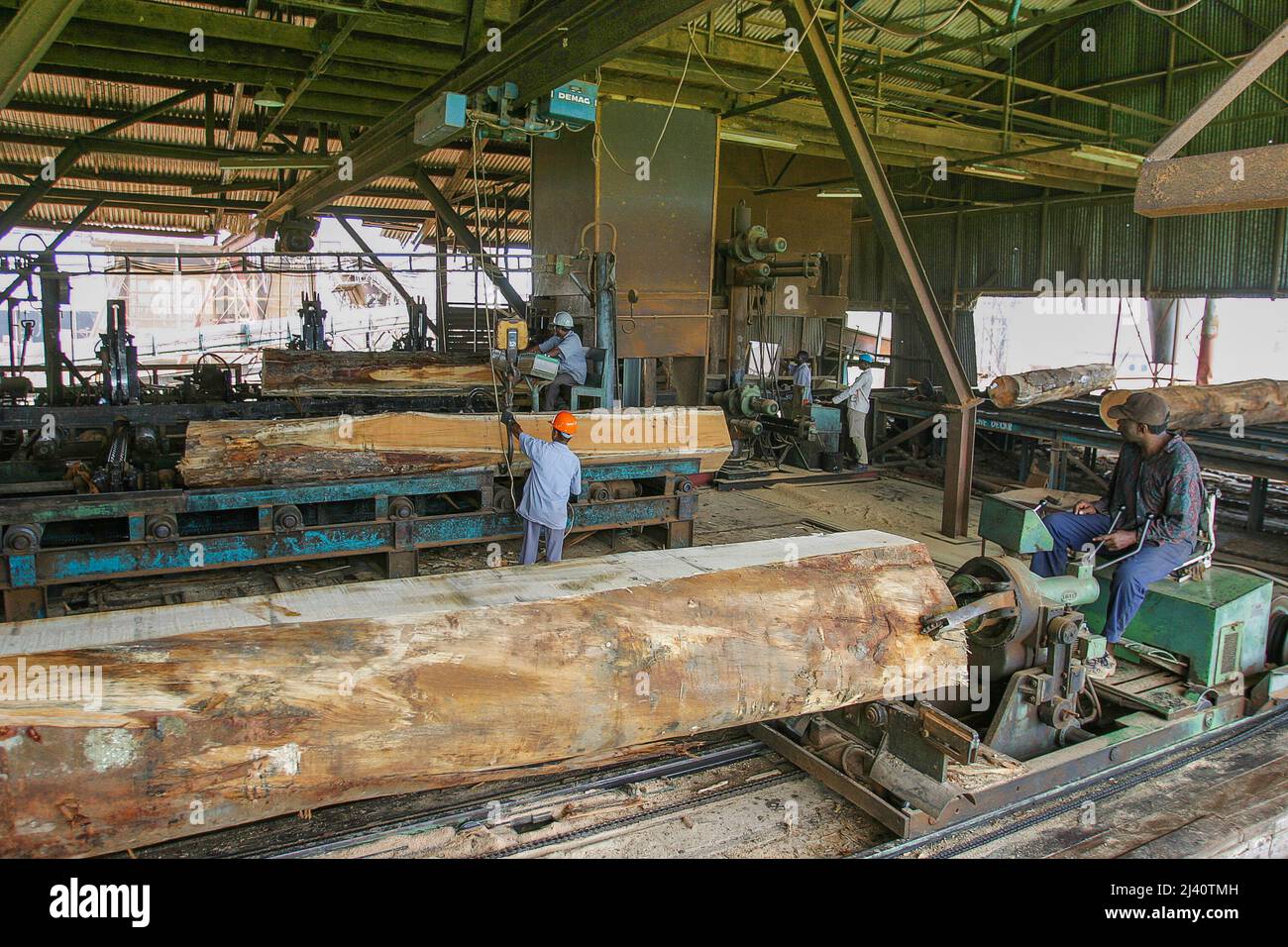 Surinam, Paramaribo - Employees at the saw mill of a timber factory ...