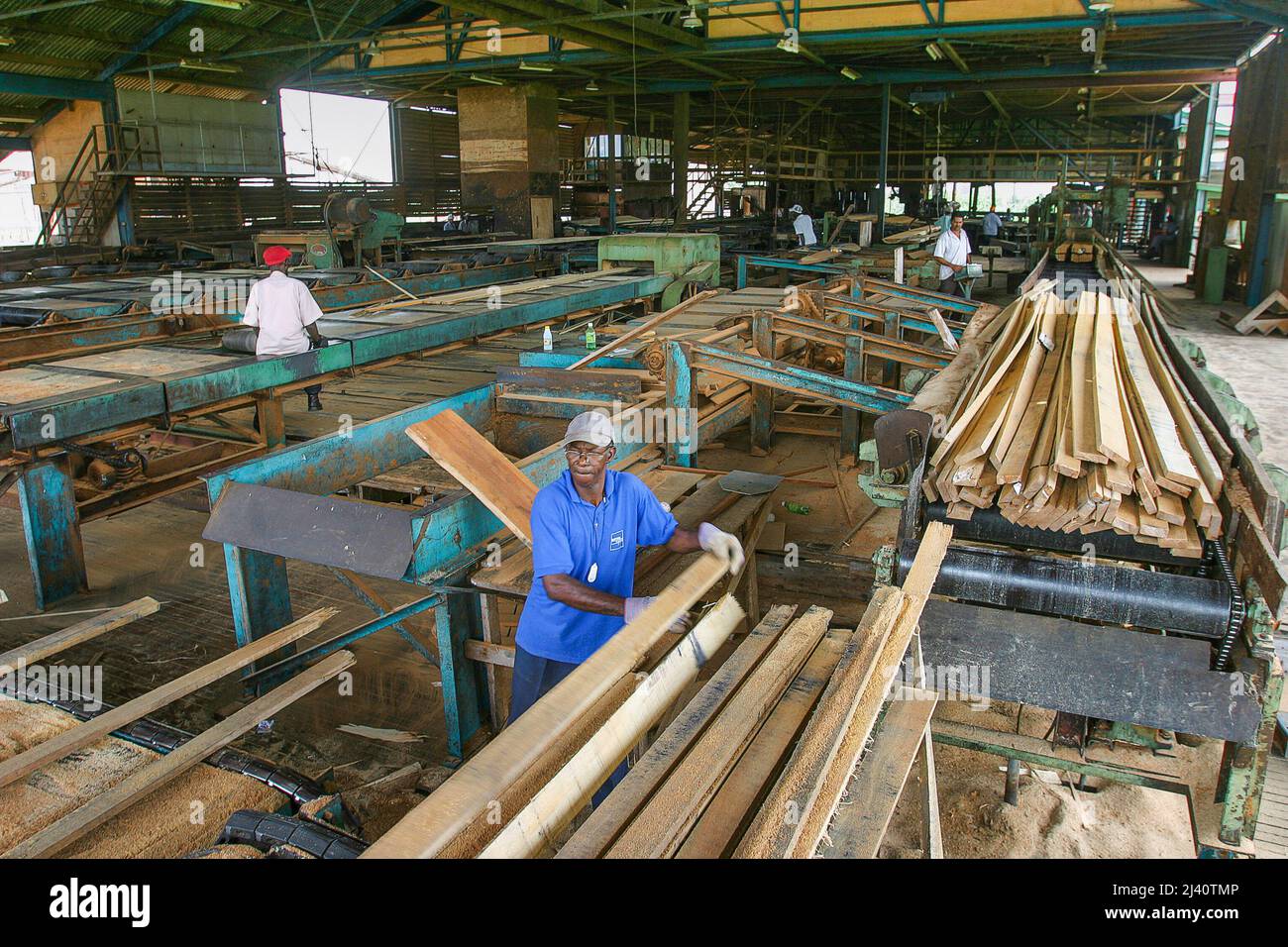 Surinam, Paramaribo - Employees at the saw mill of a timber factory ...