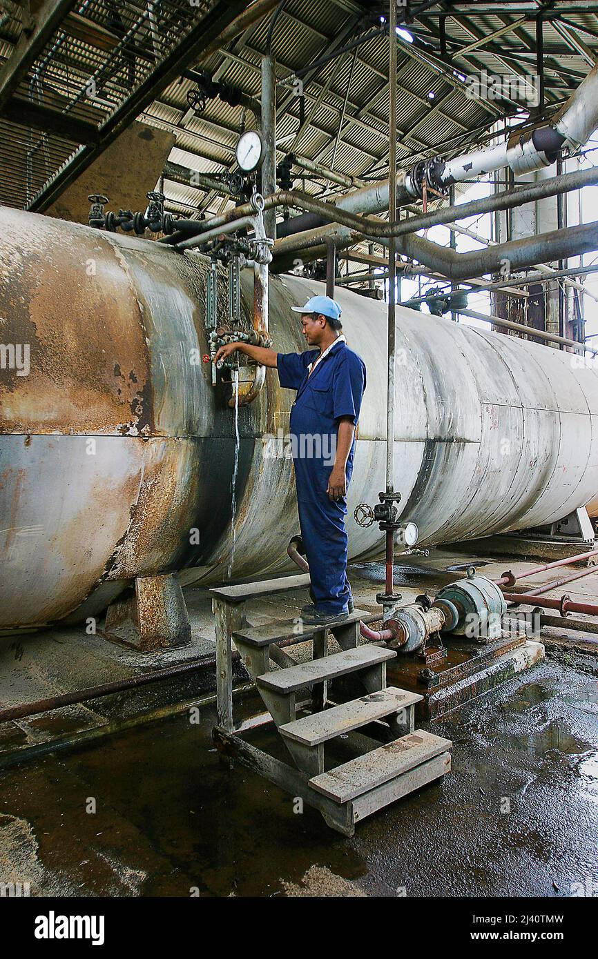 Surinam, Paramaribo - Employee at the saw mill of a timber factory ...