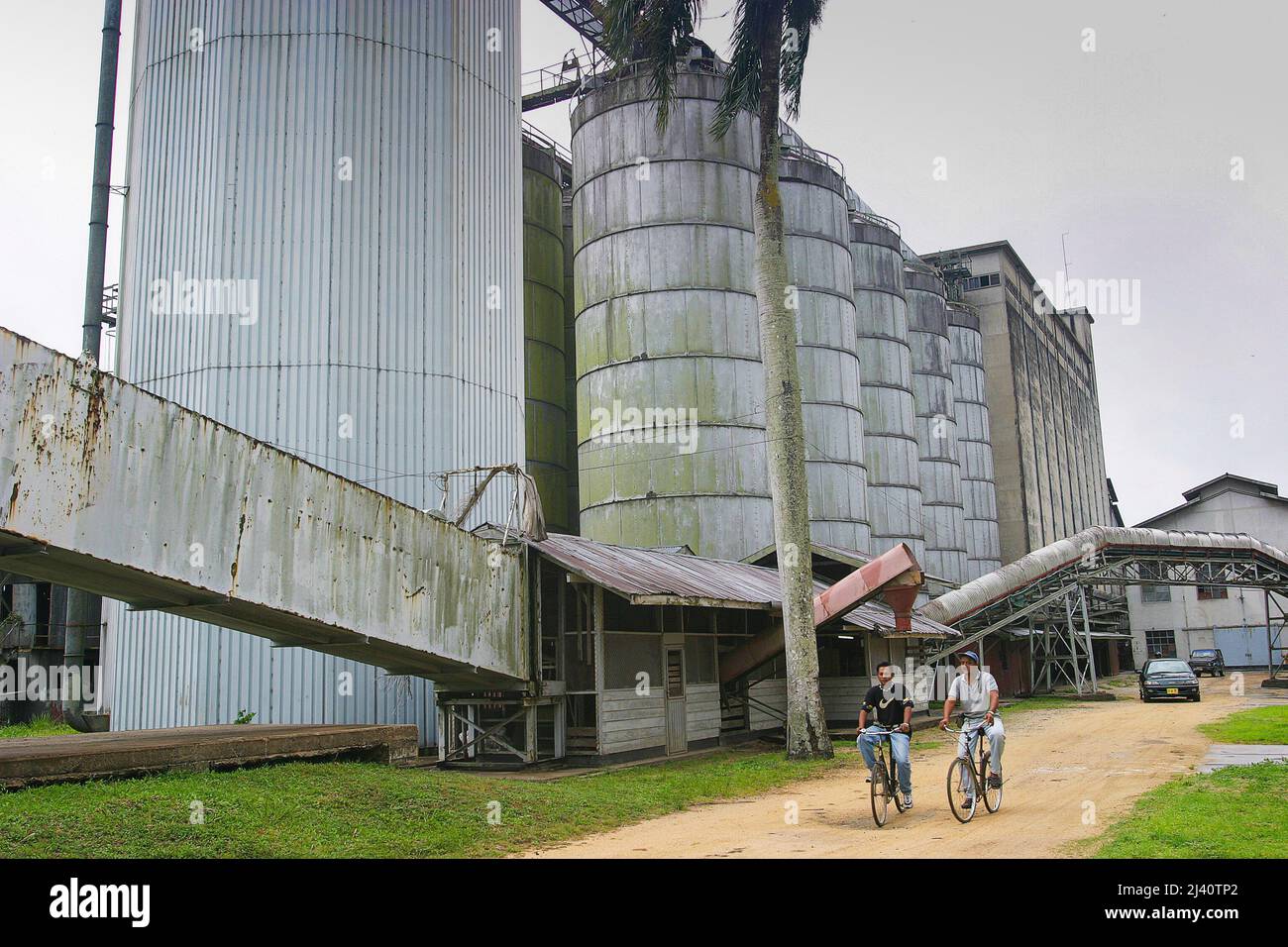 Surinam,silo of a rice mill in the Nickerie district Stock Photo - Alamy