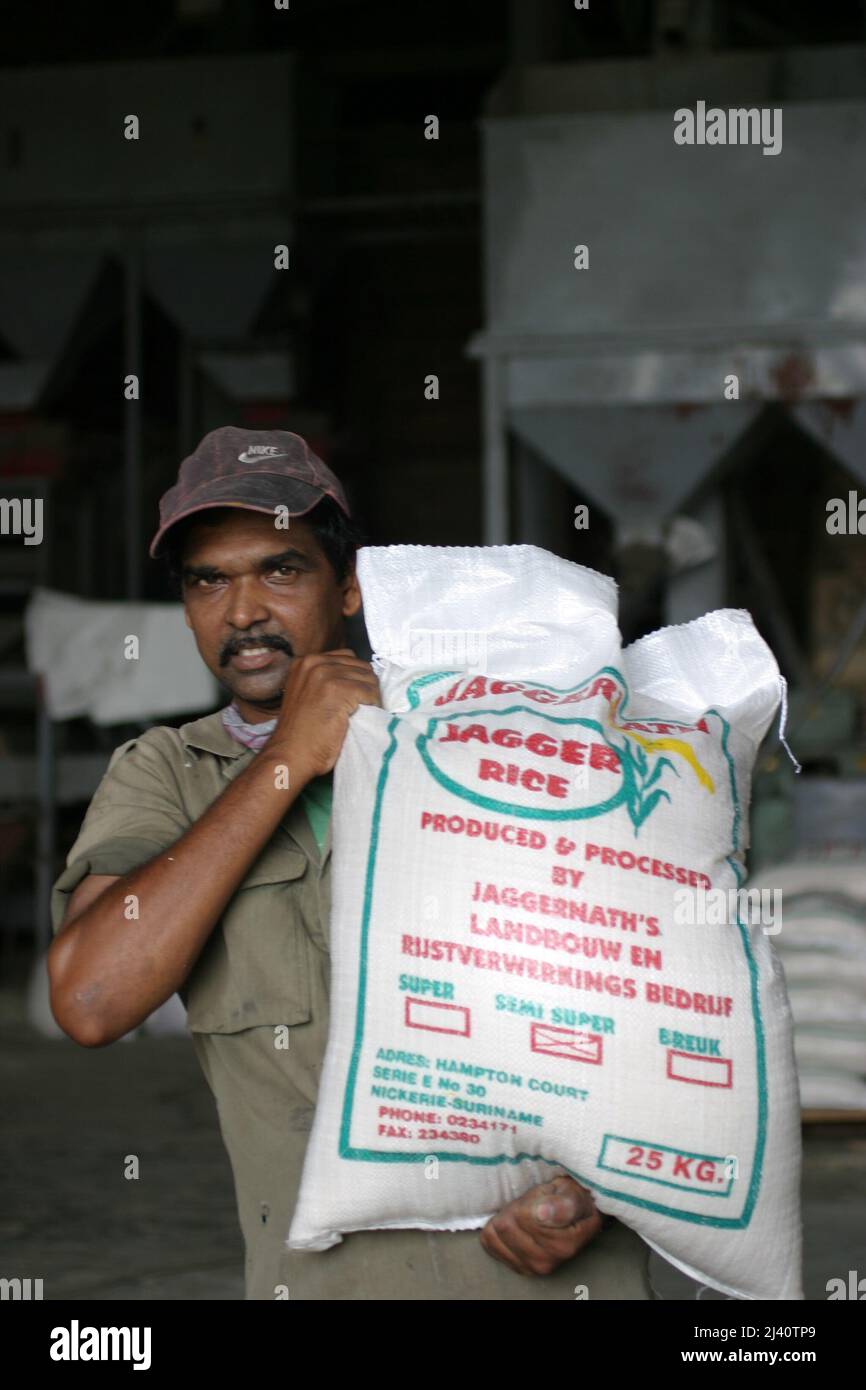 Surinam, Nickerie. An employee in a rice mill of a rice husking company ...