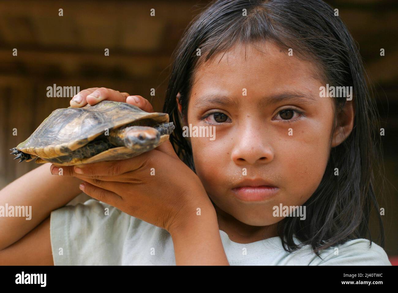 Suriname tribe hi-res stock photography and images - Alamy