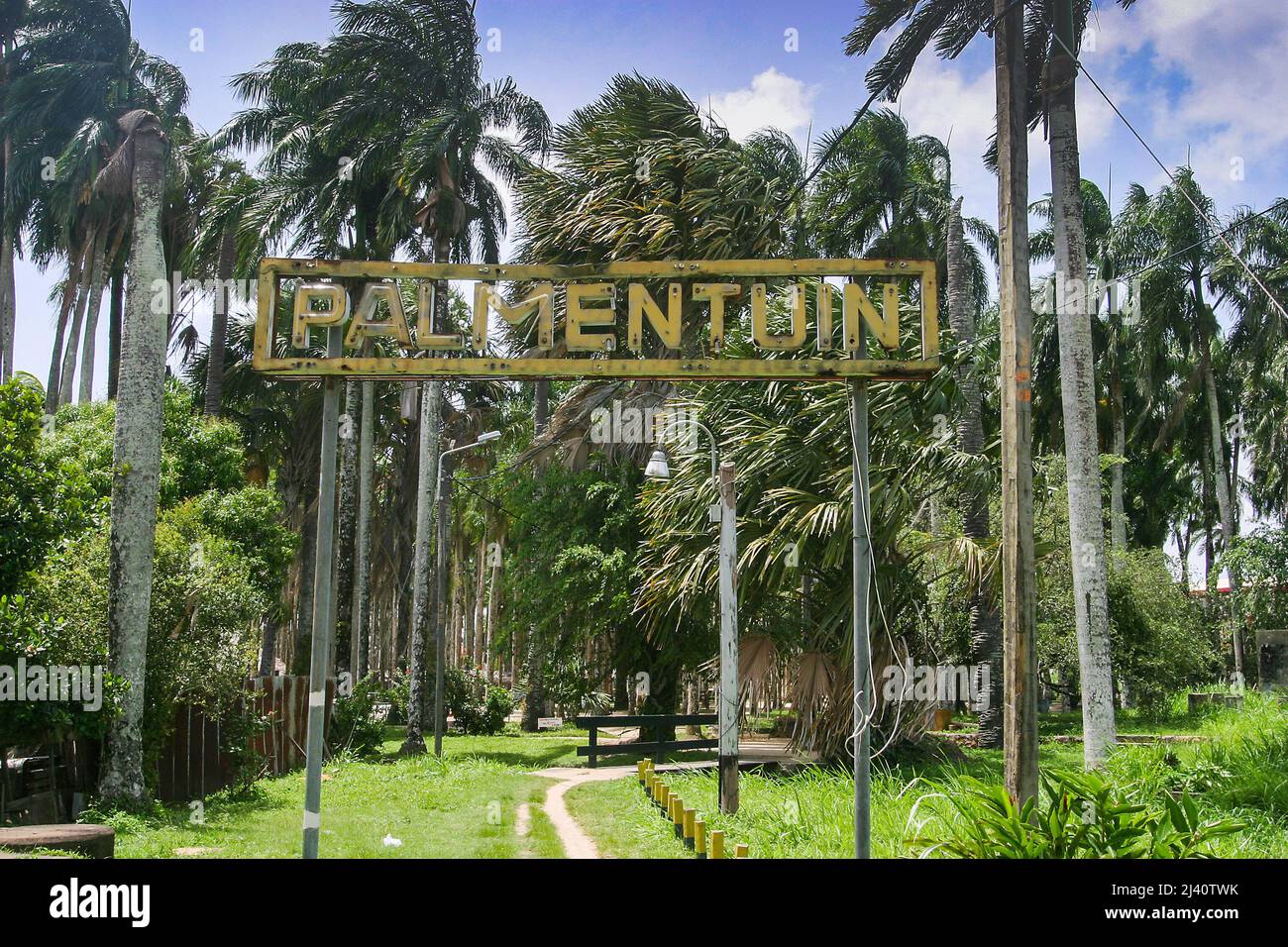 Garden of Palms or Palmgardens (Dutch: Palmentuin) is a palm tree ...