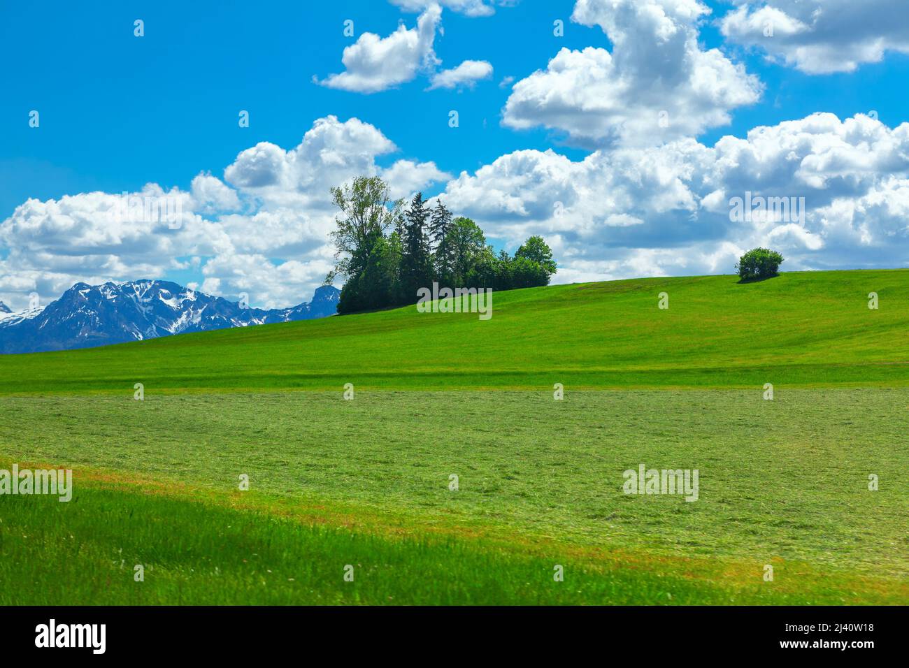 Green hills snowy mountains in hi-res stock photography and images - Alamy