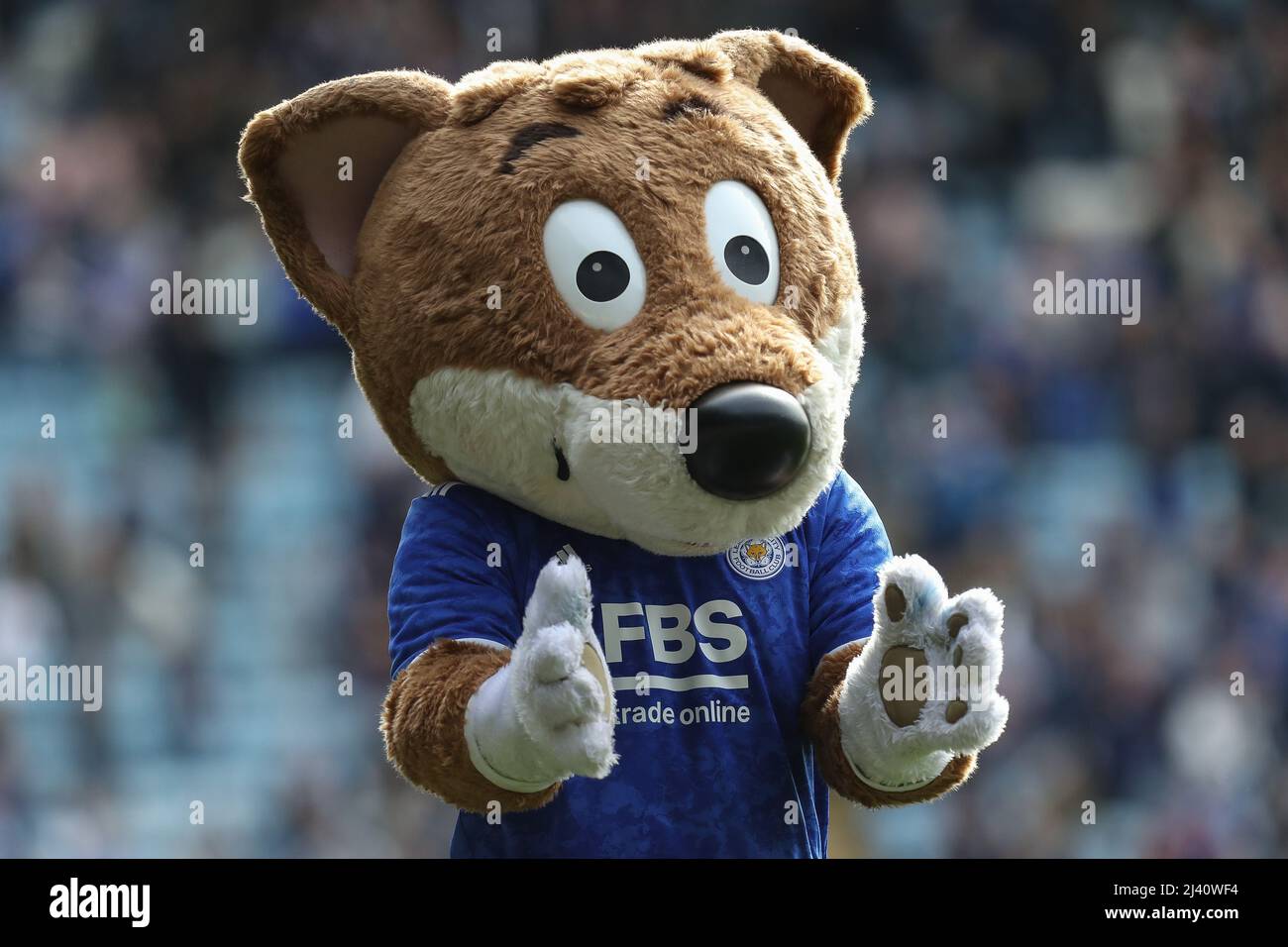 Leicester city mascot hi-res stock photography and images - Alamy