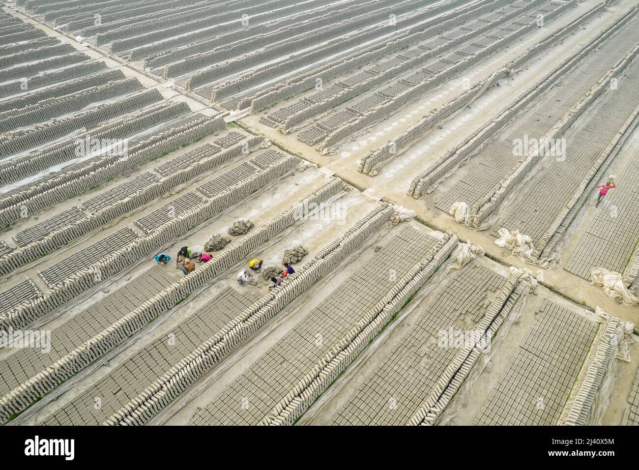 Sorting through photographs hi-res stock photography and images - Alamy