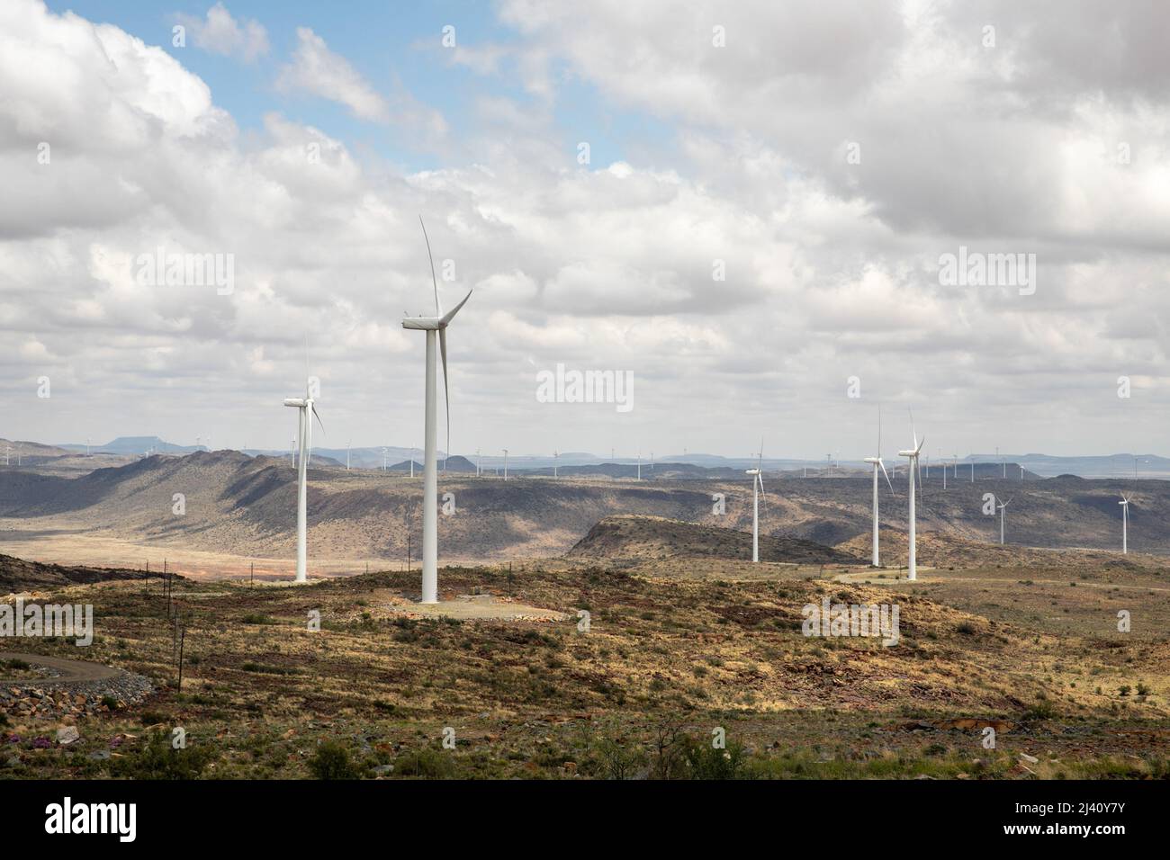 Addis Ababa. 22nd Nov, 2021. Photo taken on Nov. 22, 2021 shows wind ...