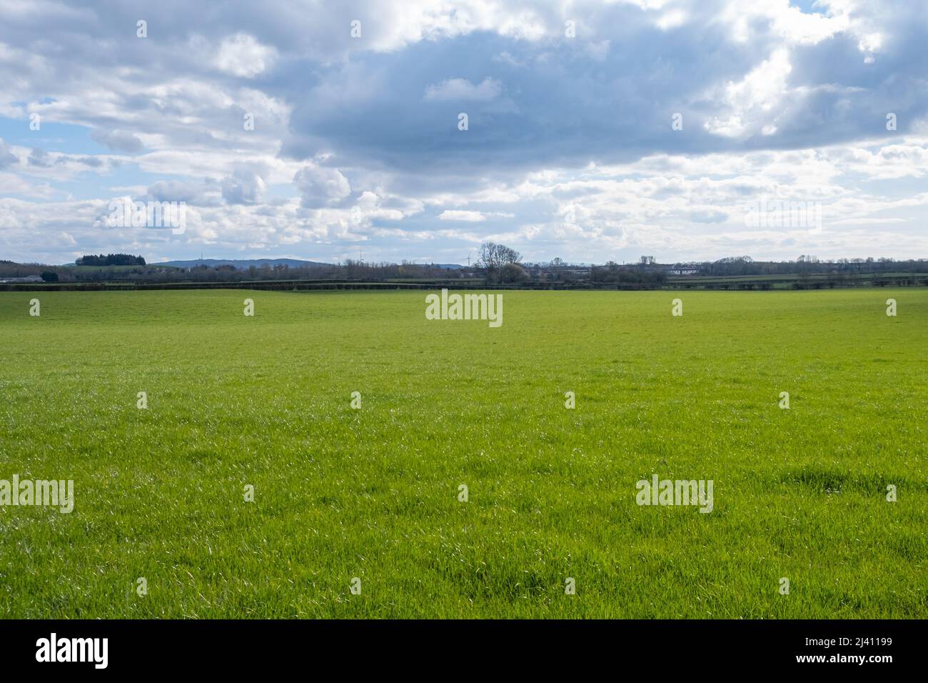 Beautiful Scottish Farmlands in Burns Country with farming fields and ...