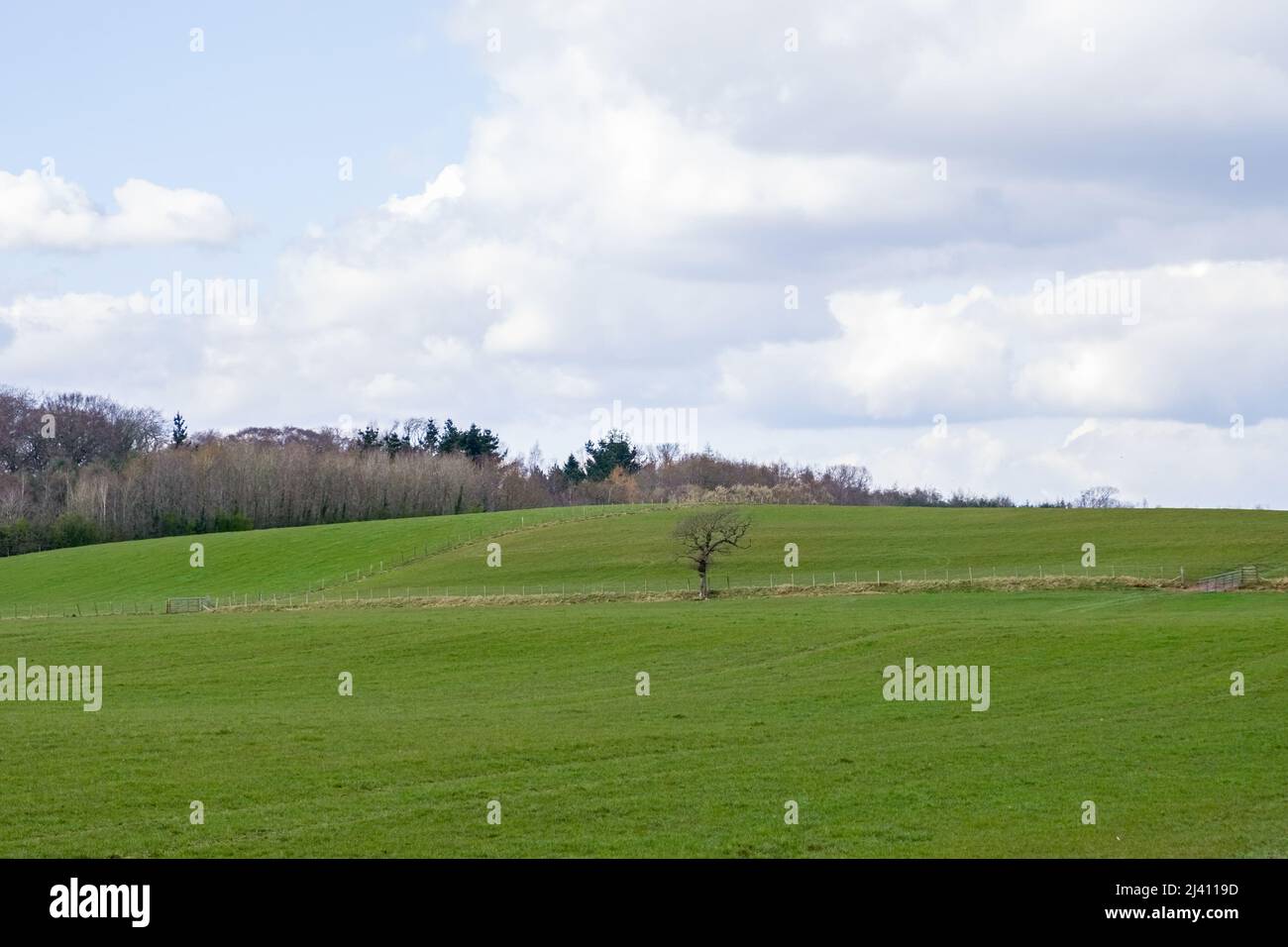 Beautiful Scottish Farmlands at the heart of Burns Country with farming ...