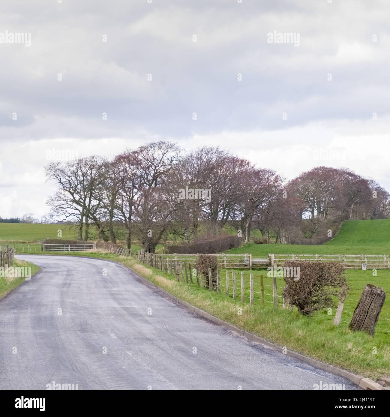 Beautiful Scottish Farmlands with farming fields and trees and ...