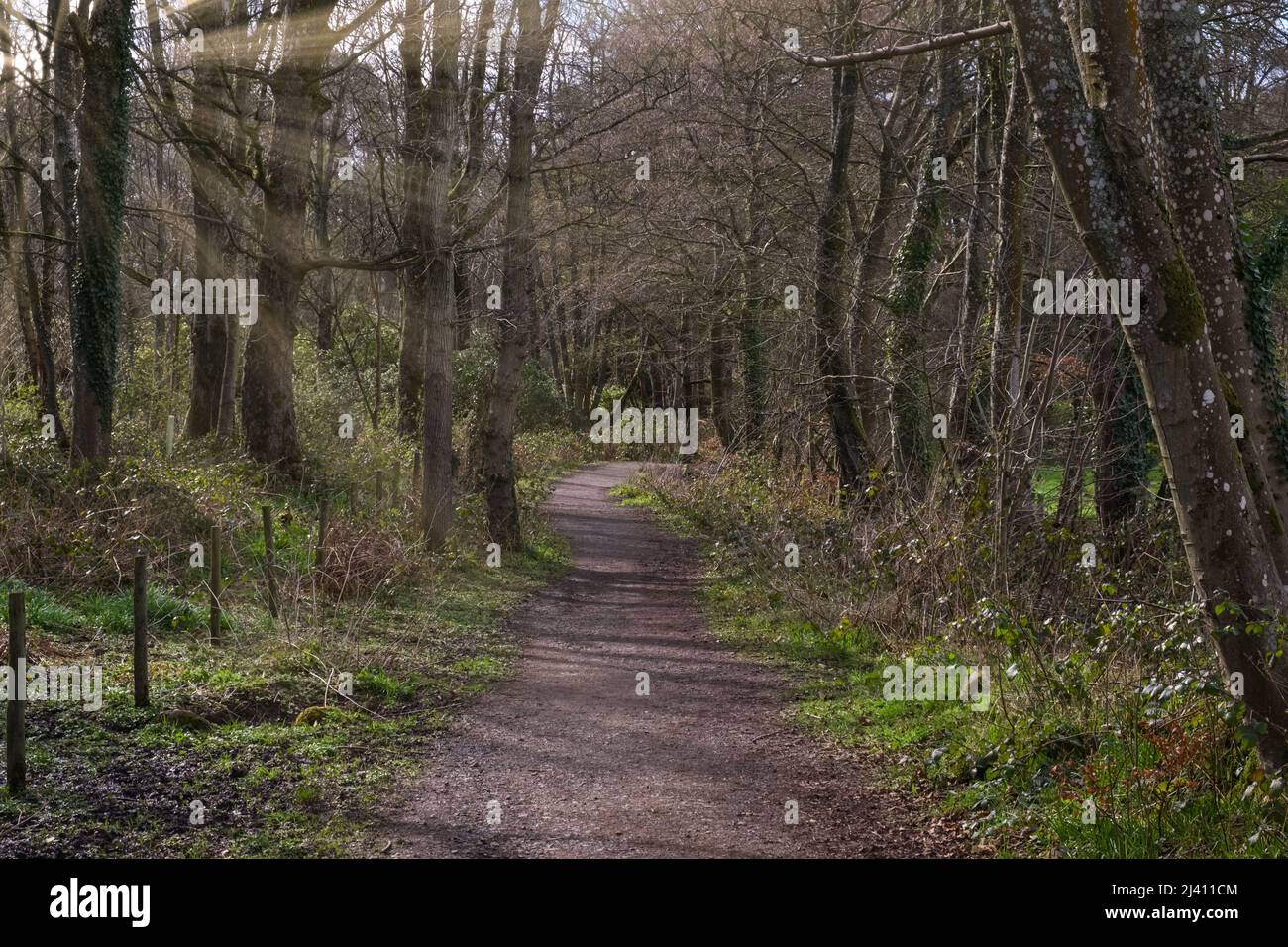 Fullerton woods hi-res stock photography and images - Alamy