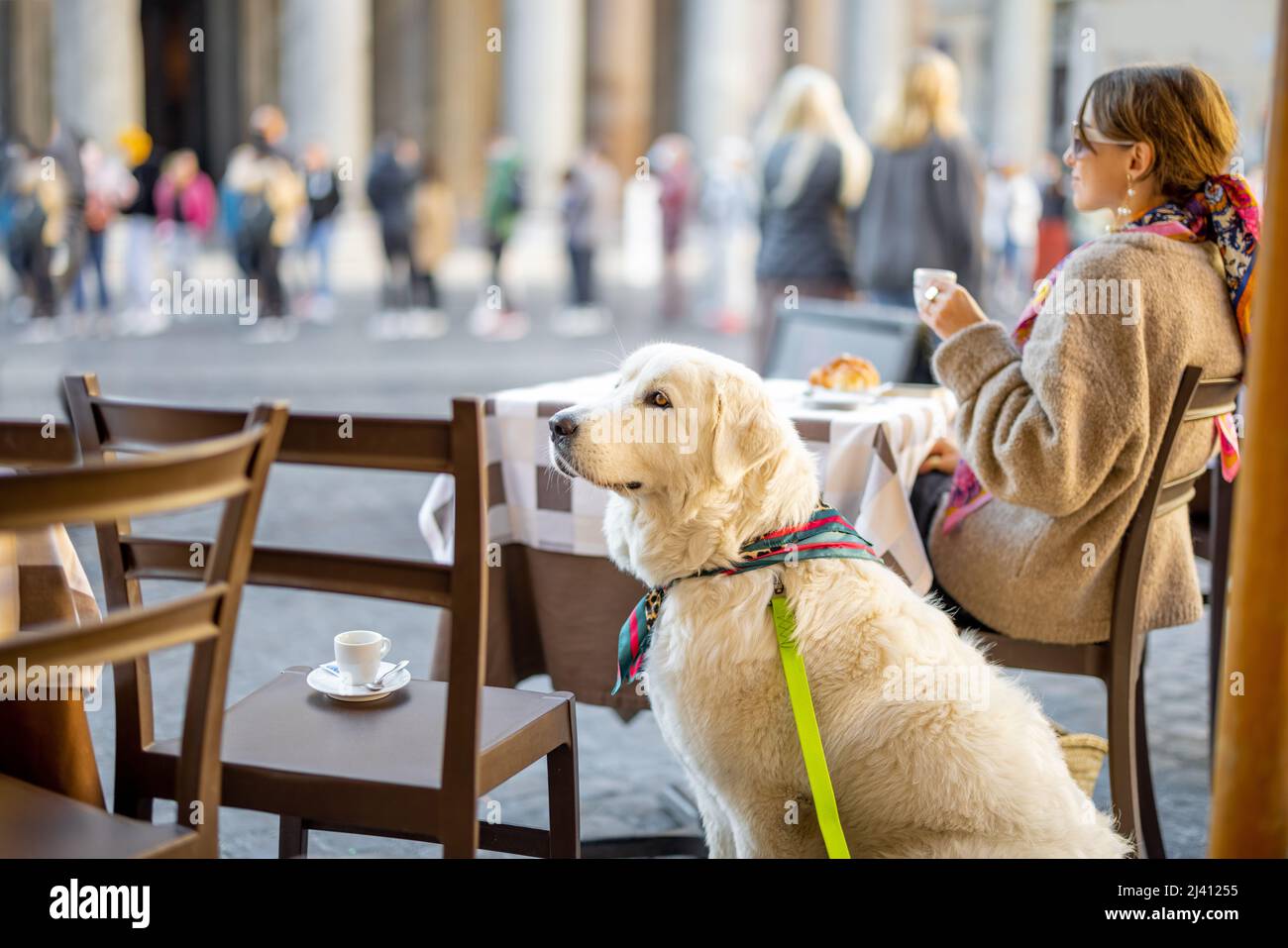 Woman sitting with dog at outdoor cafe in Rome Stock Photo - Alamy
