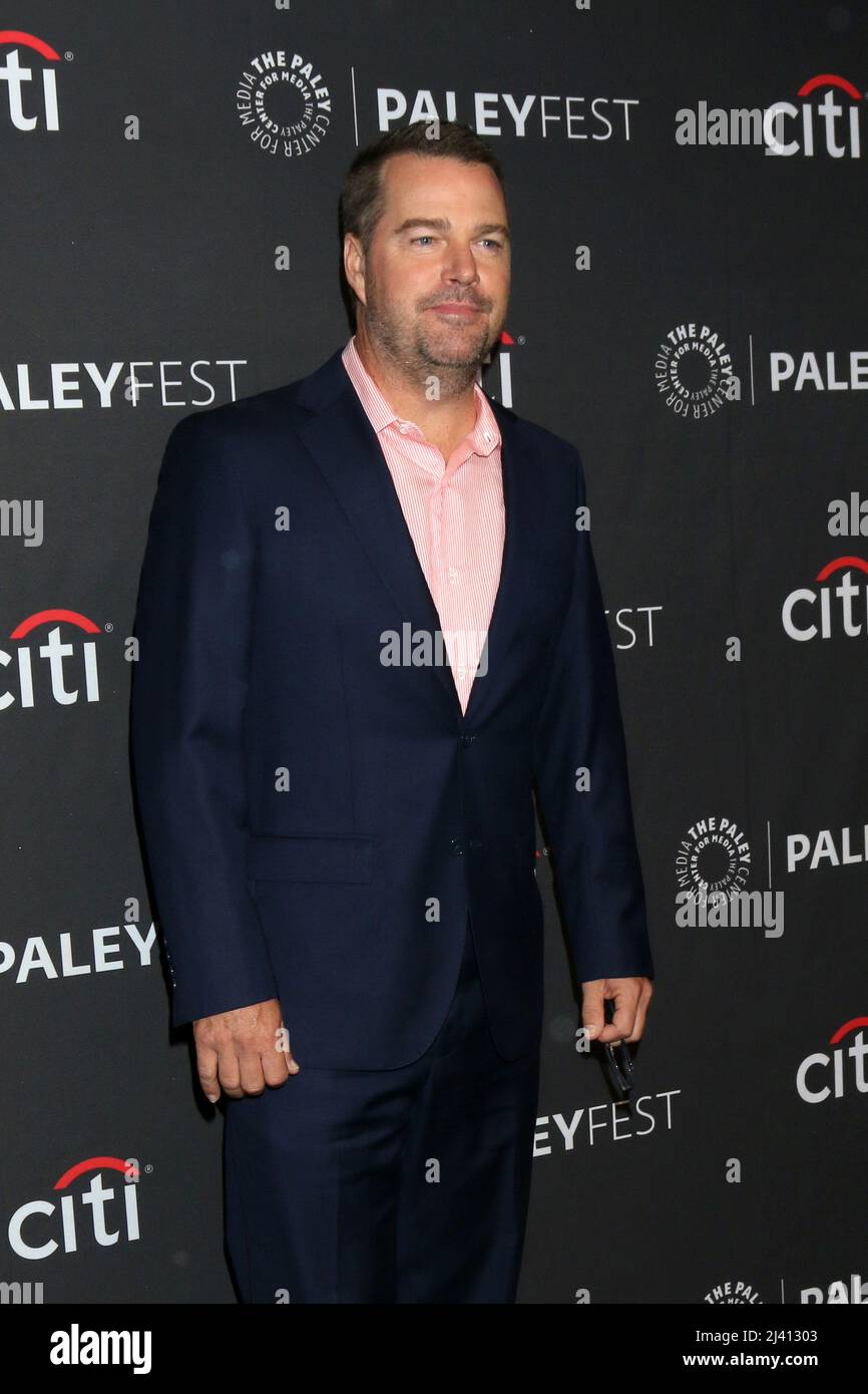 LOS ANGELES - APR 10: Chris O'Donnell at the PaleyFEST - NCIS Universe ...