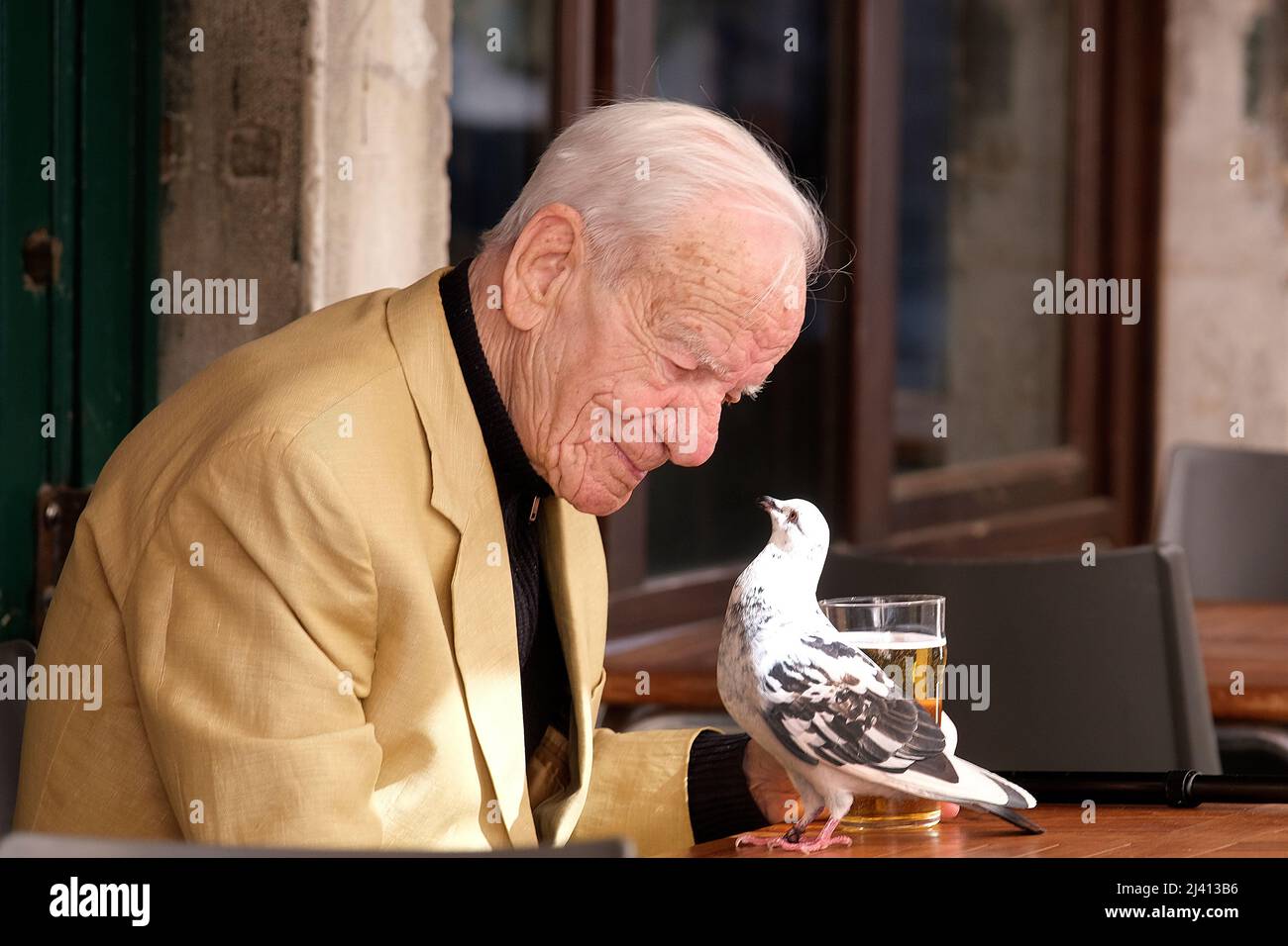 The man and the pigeon Stock Photo - Alamy
