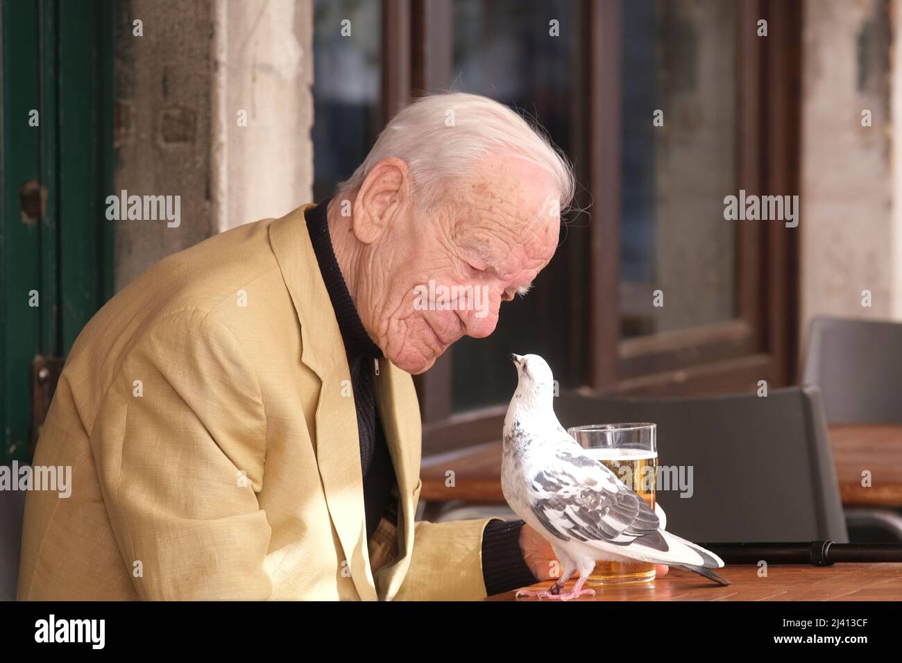 The man and the pigeon Stock Photo - Alamy