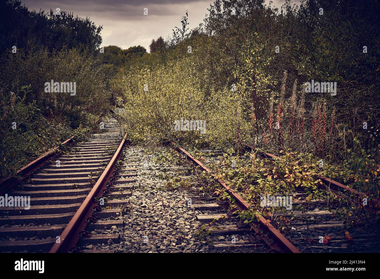 Overgrown disused railway lines Stock Photo - Alamy